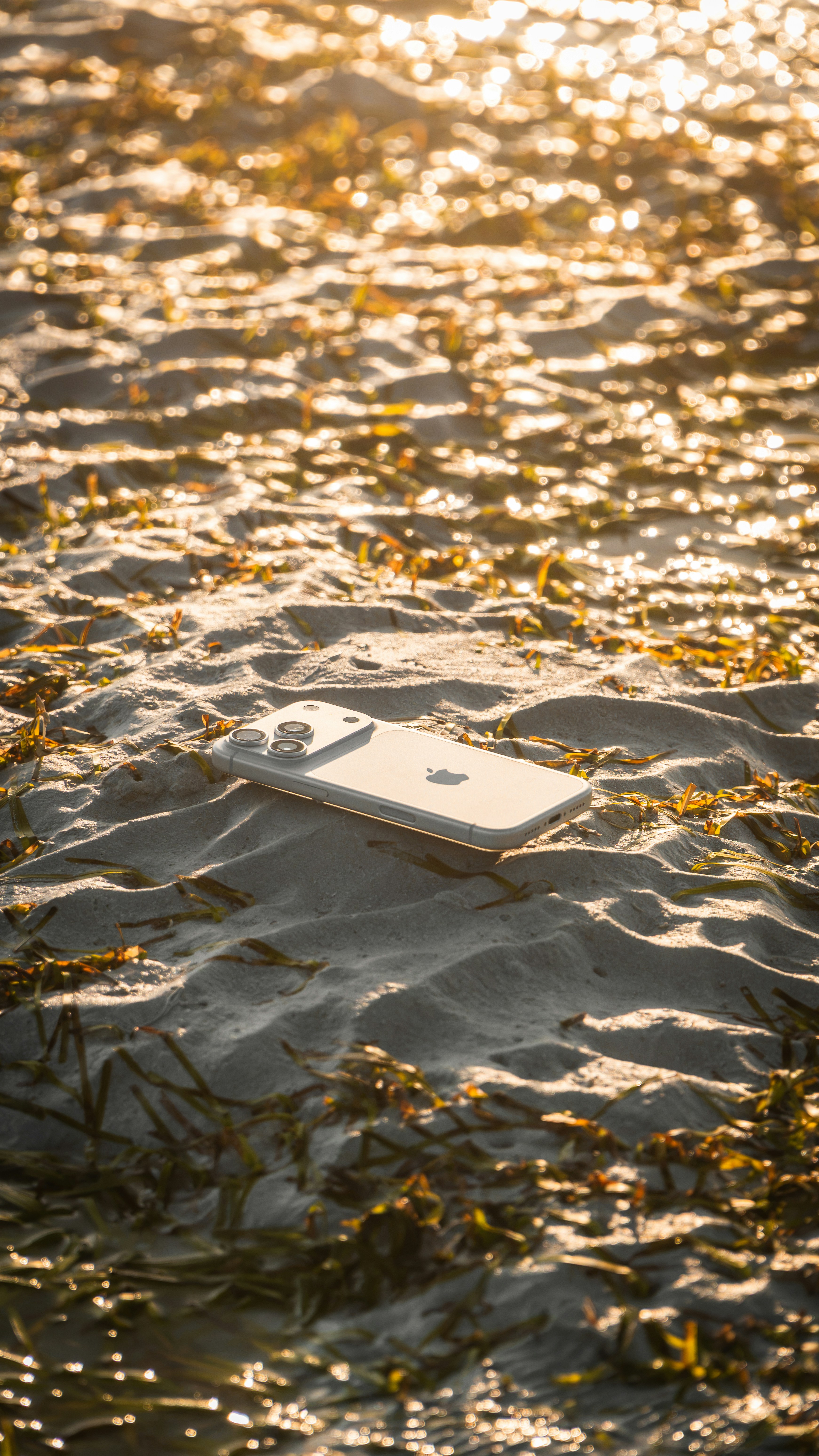 Sunlit Horizon: A Silver iPhone Resting in Warm Sand