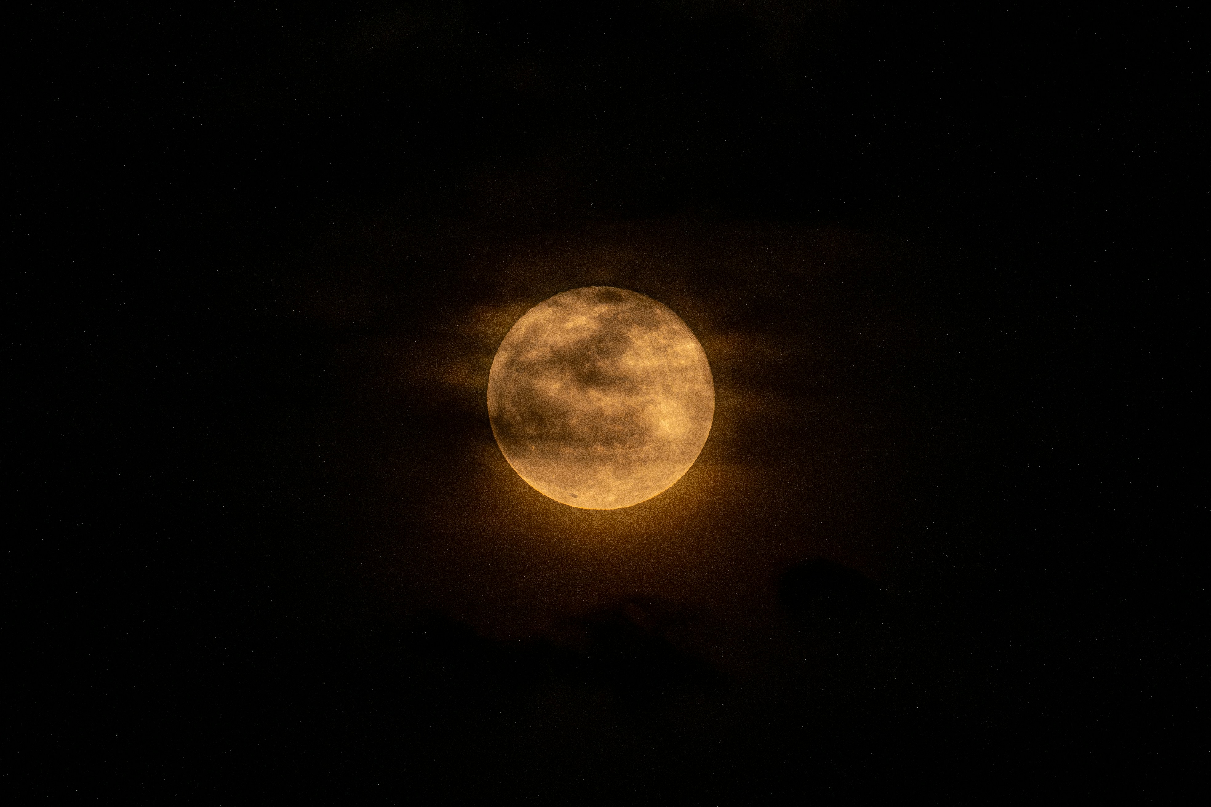 Lone Moon in a Velvet Night