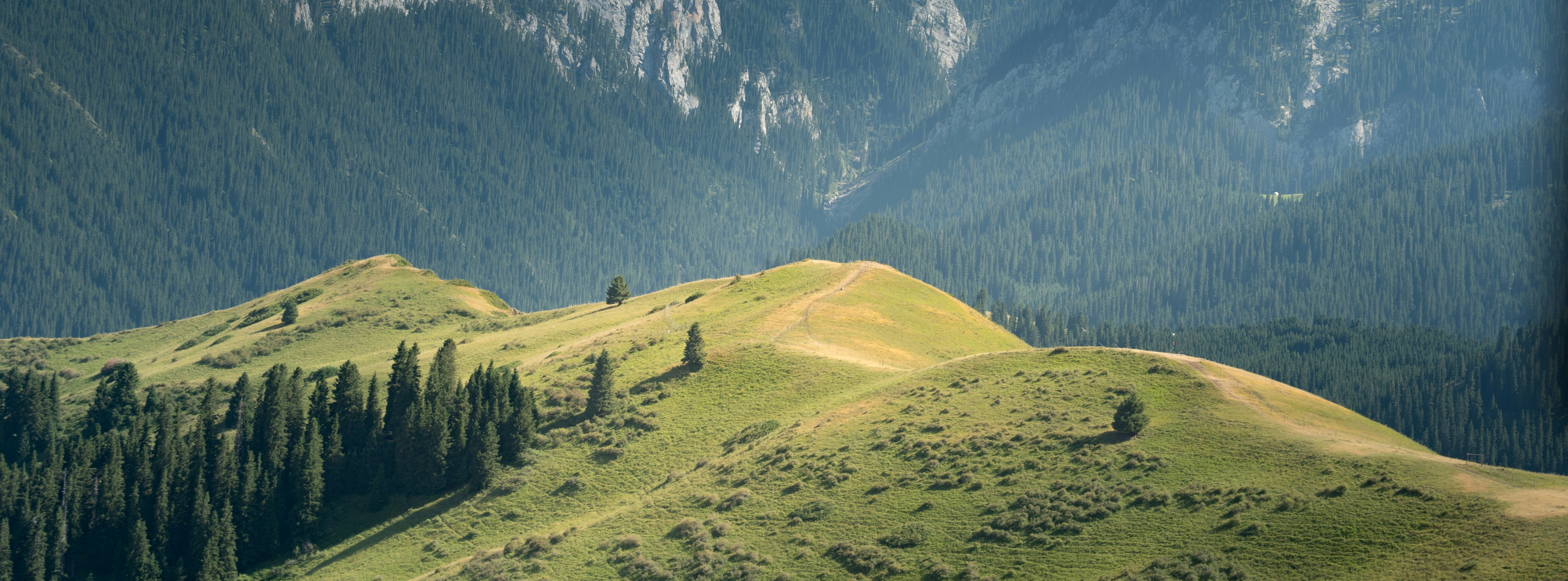 Sunlit rolling green hills rise toward forested slopes with distant mountains in a serene alpine landscape.