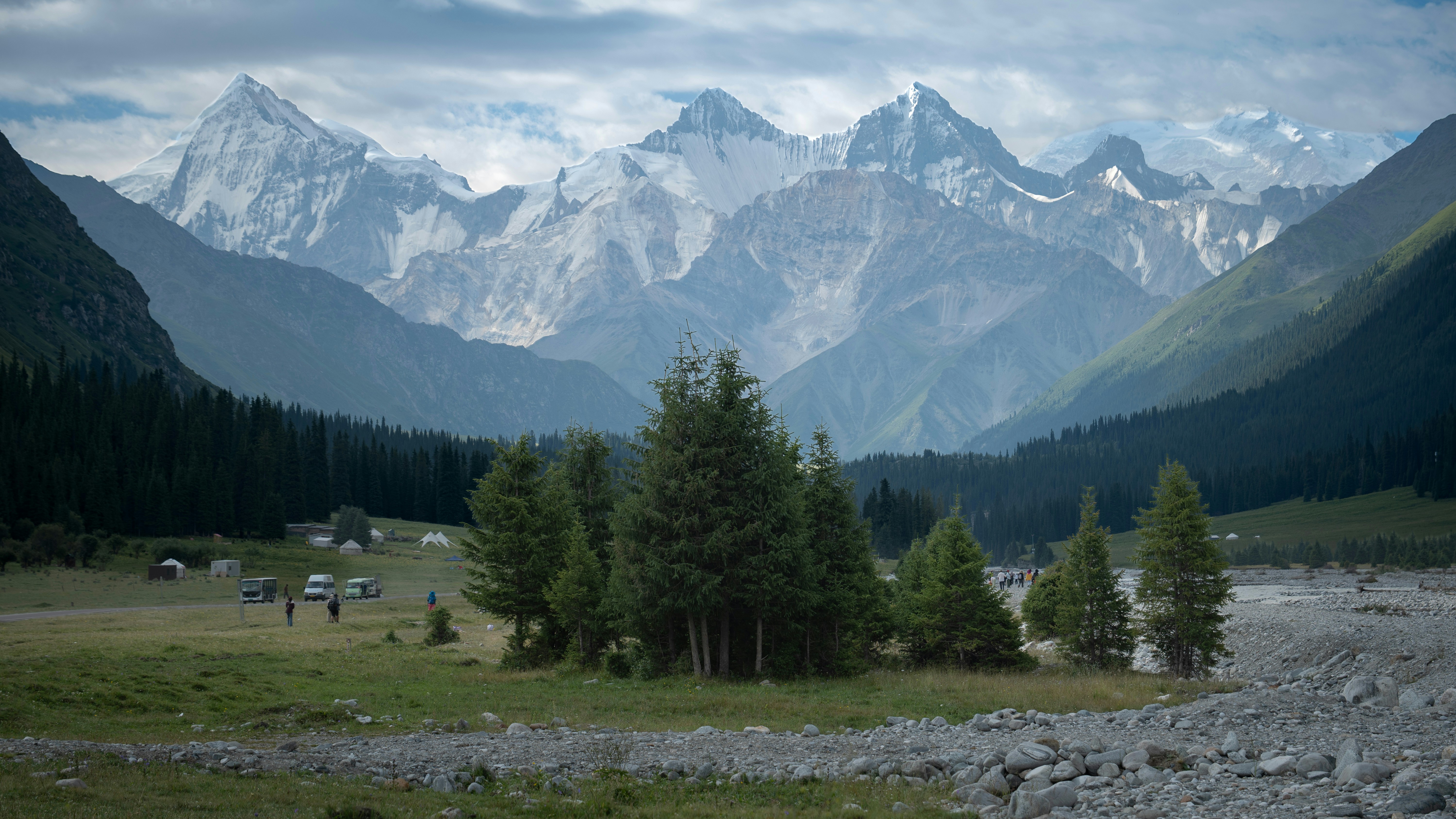 Majestic alpine valley with distant snow-capped peaks and a cluster of pines in the foreground, evoking timeless stillness in a wide landscape. A pastoral scene suitable for nature photography. 