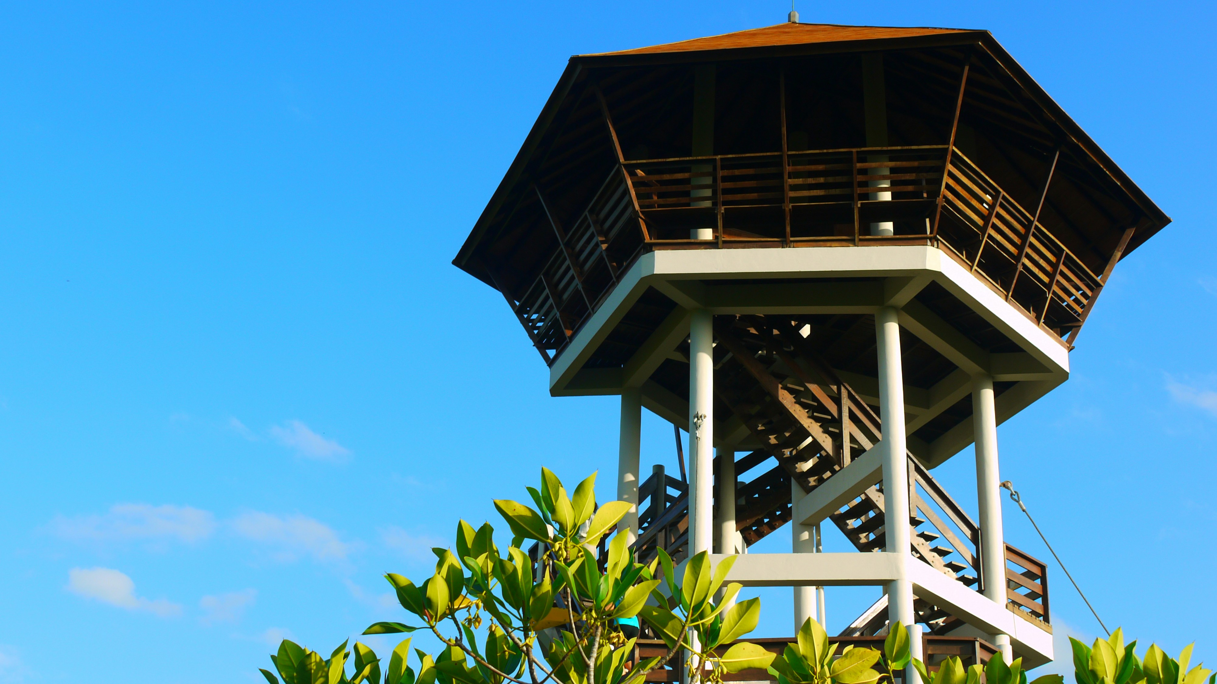 A wooden lookout tower rises above green foliage against a clear blue sky, emphasizing architectural structure and perspective.
