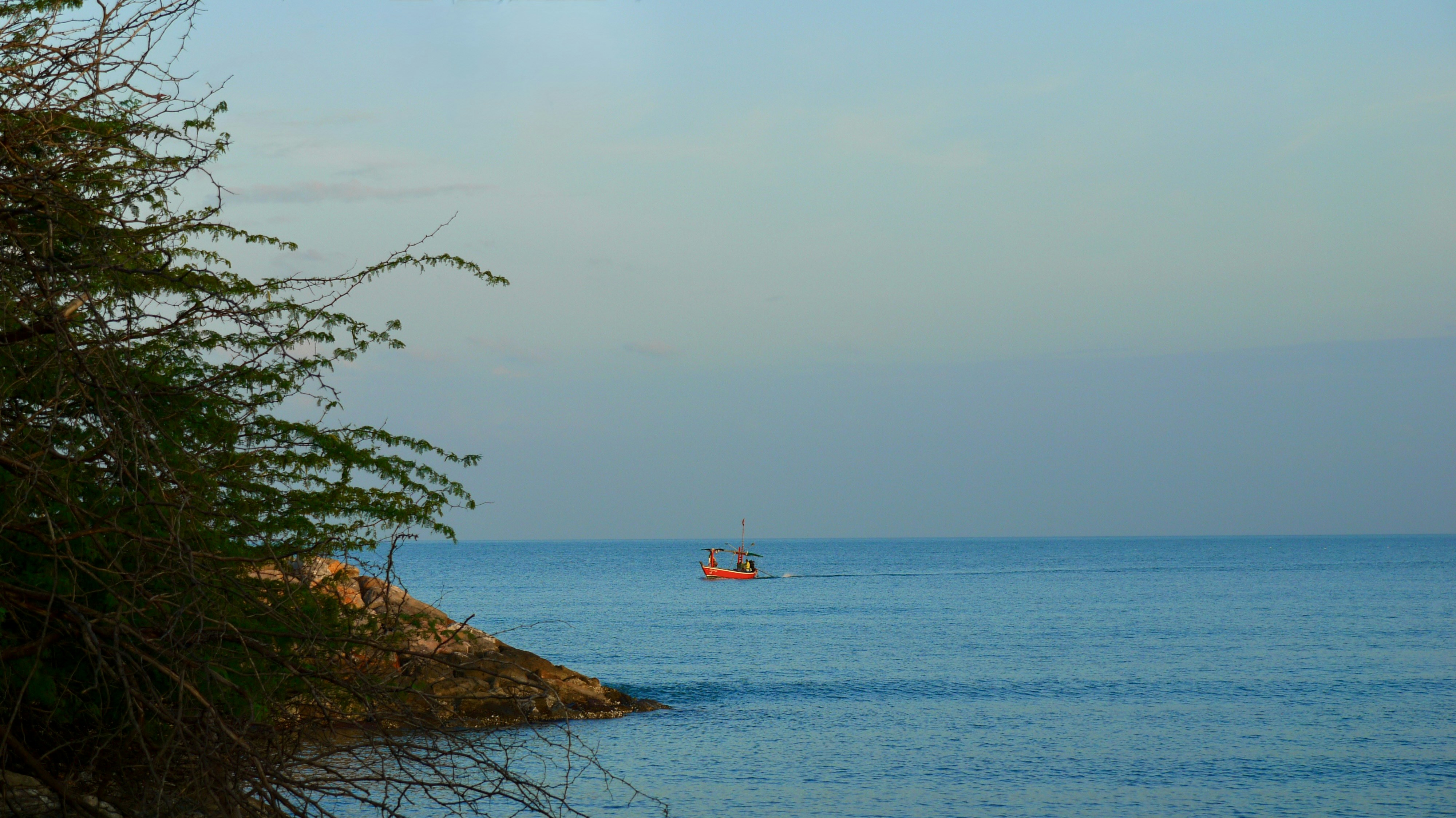 A lone boat rests on calm sea water near a rocky shoreline with sparse trees, captured in soft daylight.