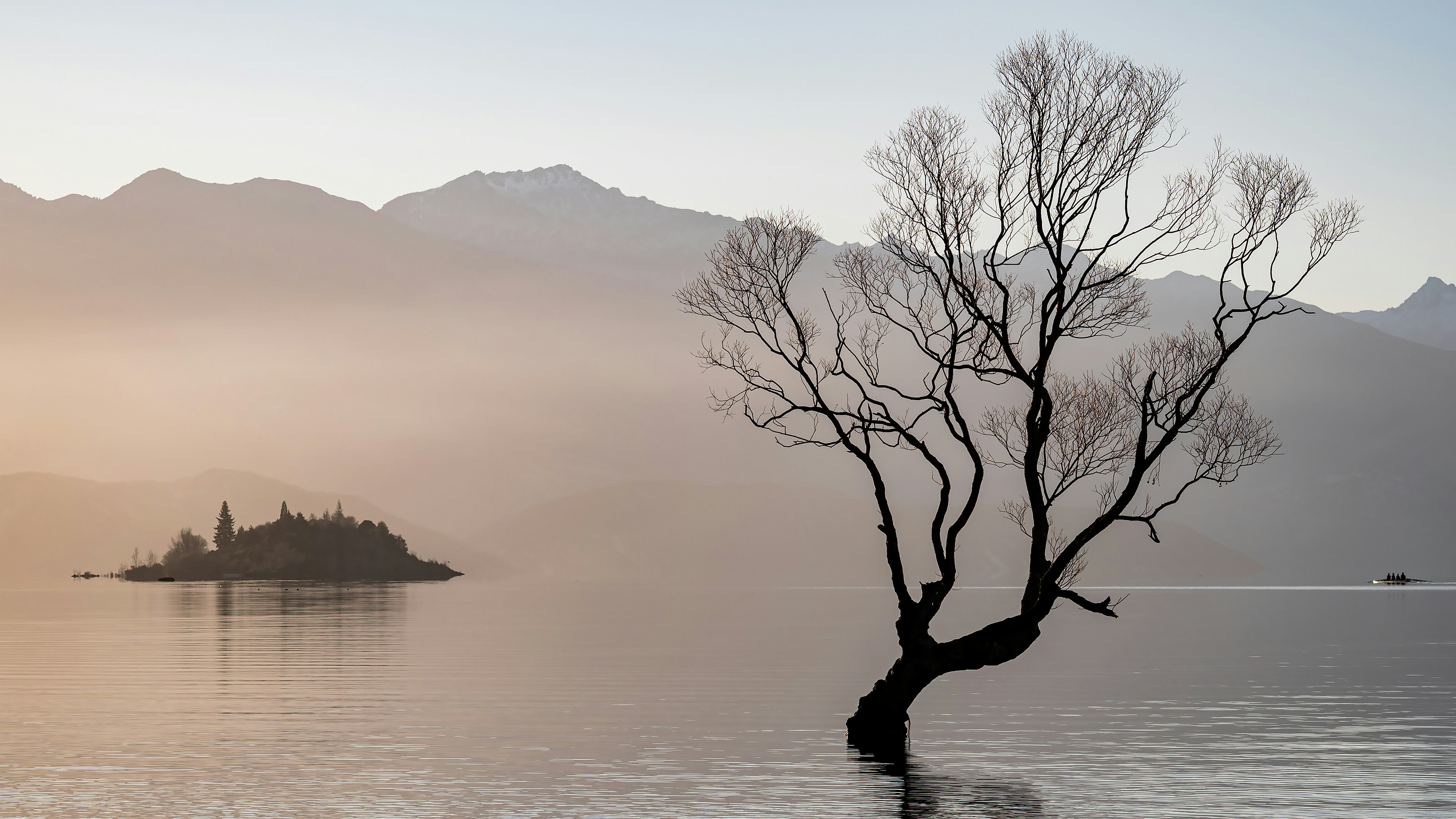 Whispering Trees at the Edge of the Glassy Lake