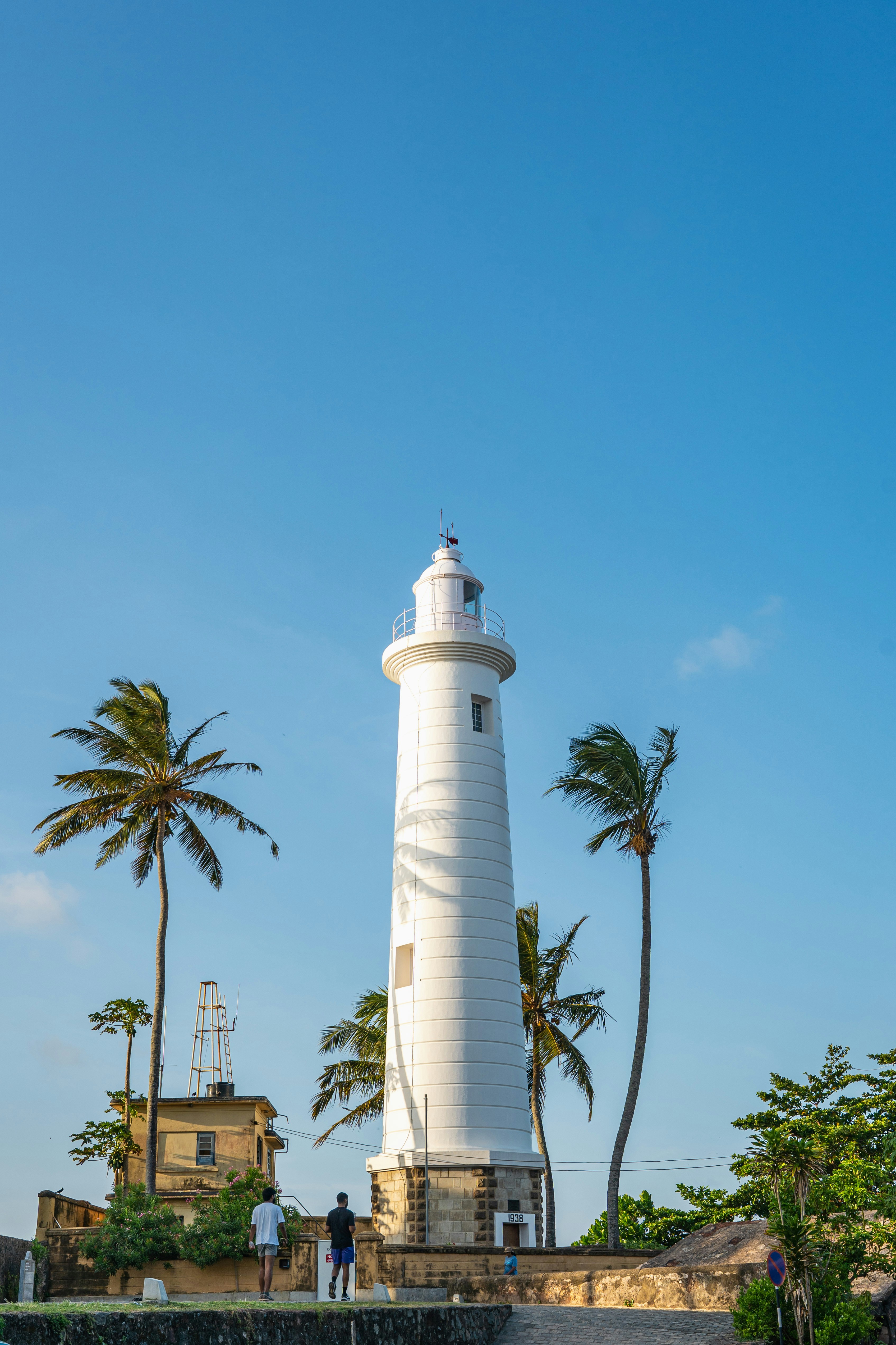Lighthouse Rising Amid Coastal Palm Shadows