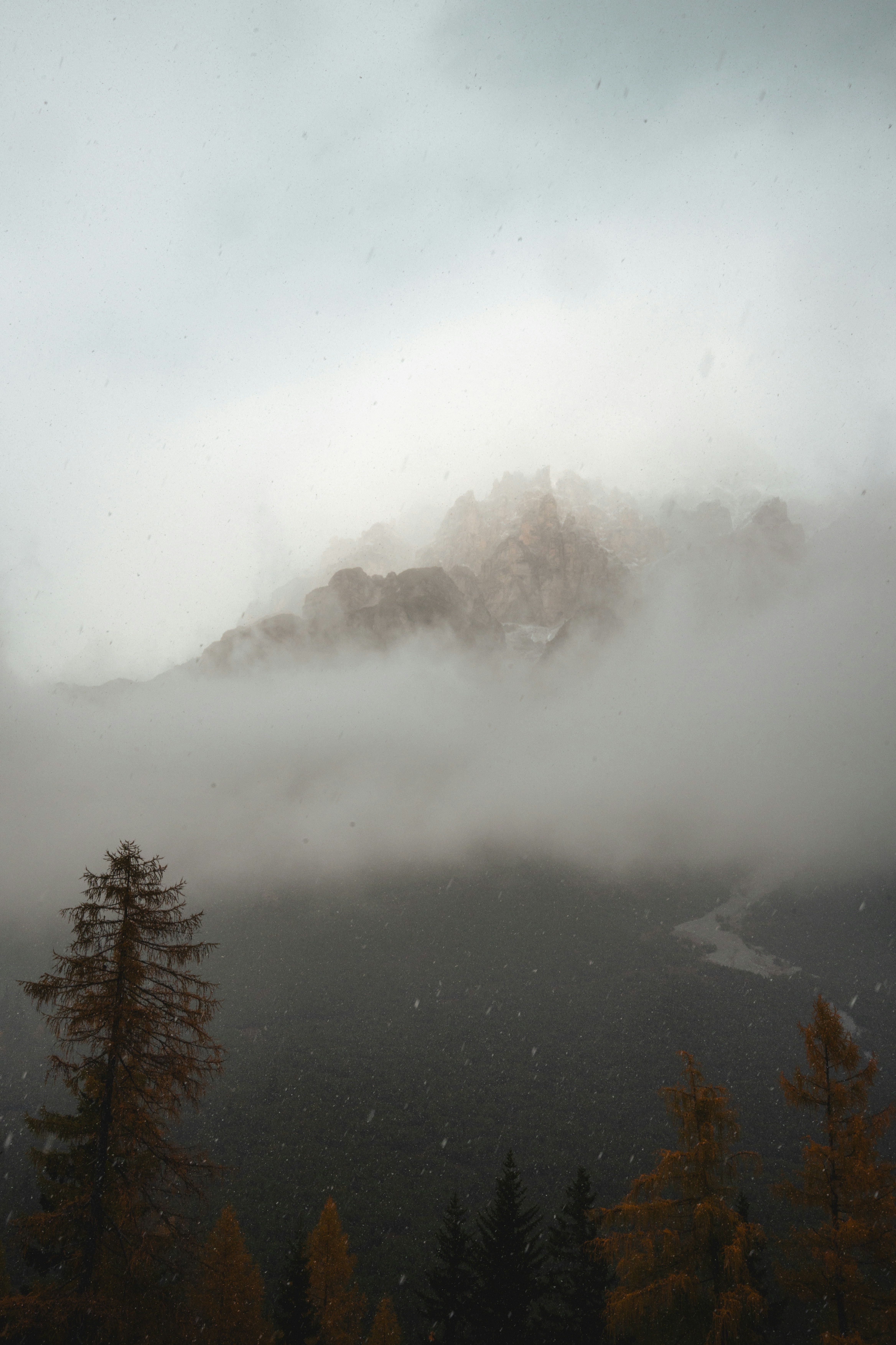 Snow-dusted mountains emerge through a thick veil of fog and falling flakes, with dark pines in the foreground anchoring the tranquil, wintry scene. This landscape capture emphasizes atmosphere and depth. 