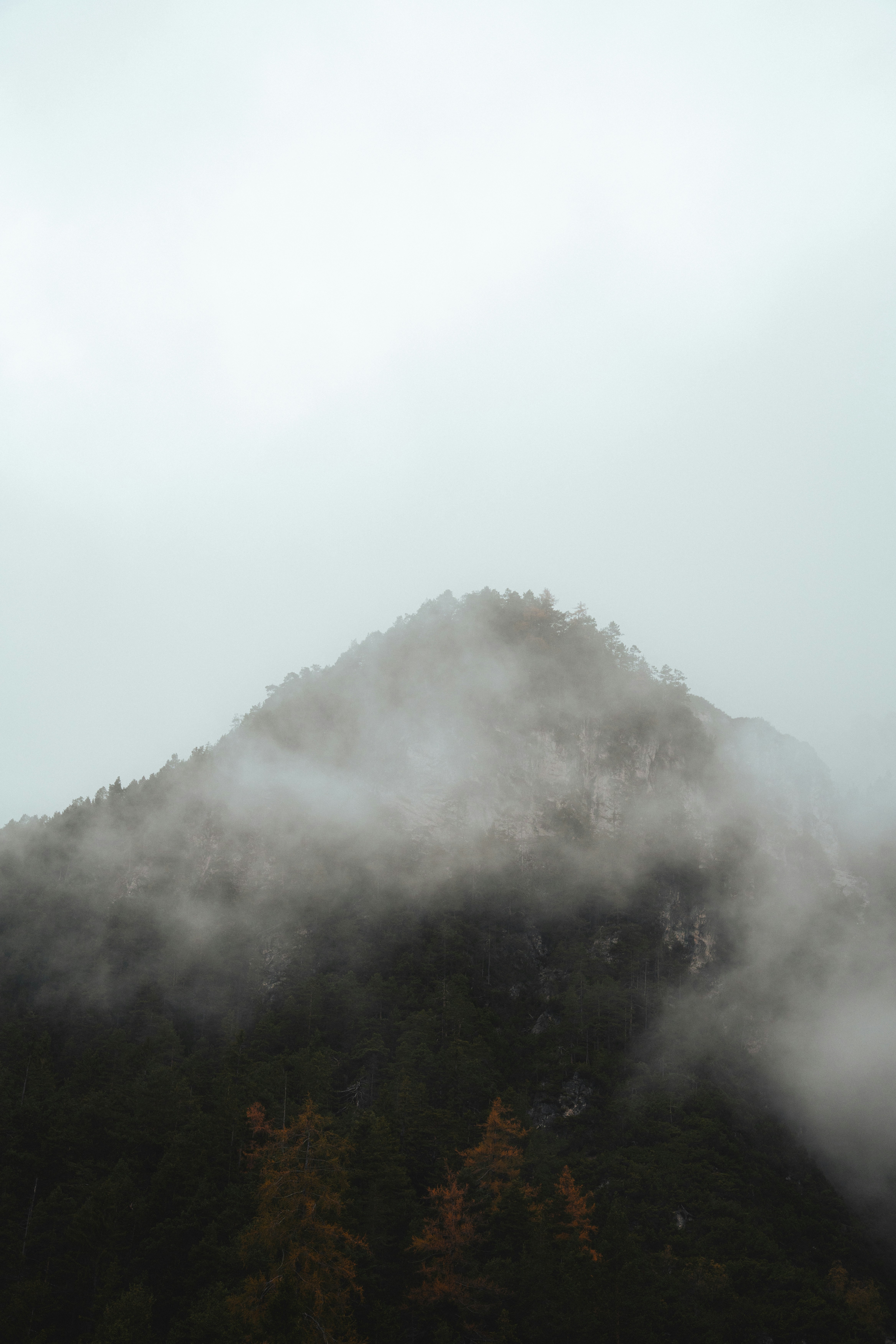 Summit Veil: Mist Clings to the Ridge