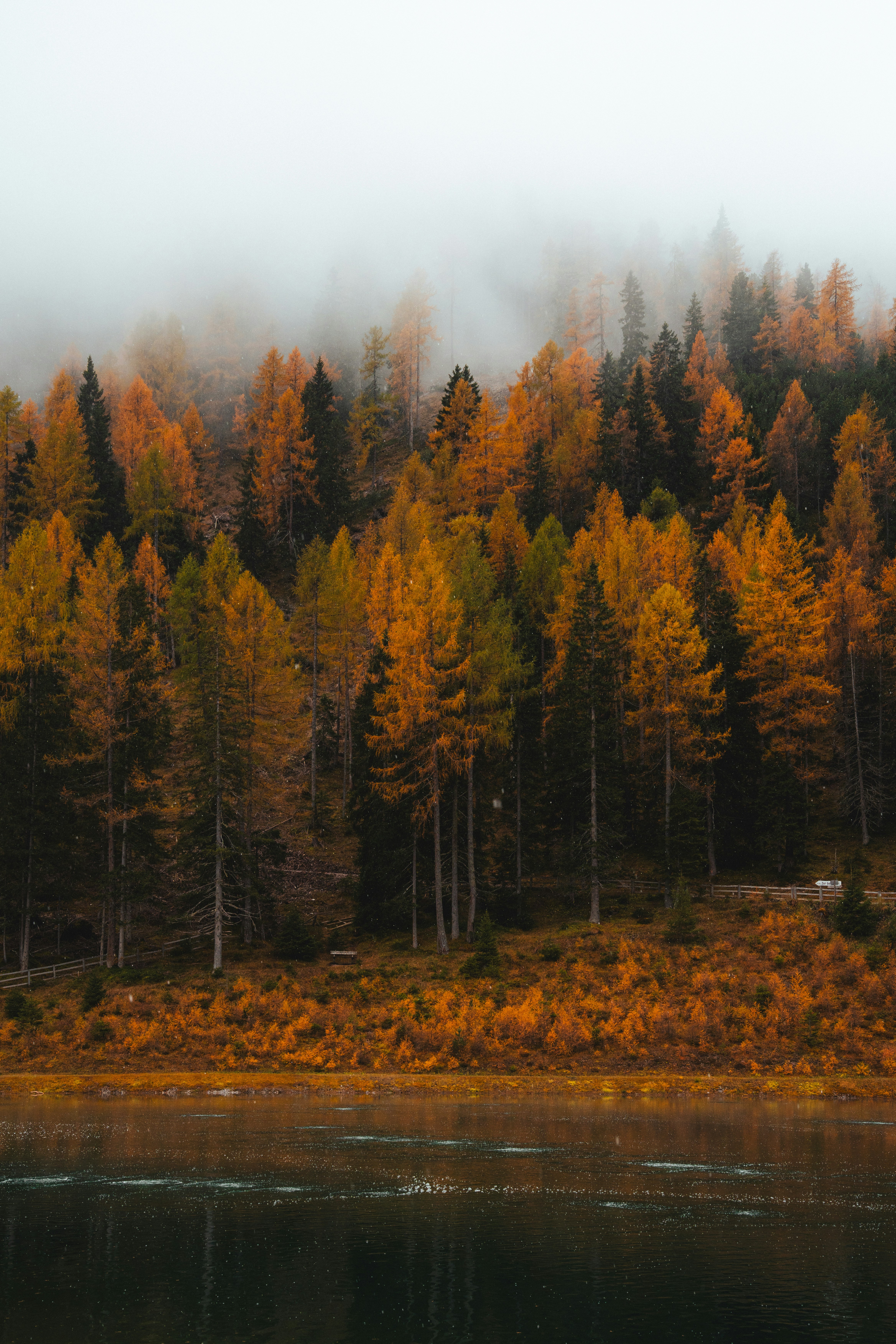 Autumn Fog Over Flora Ridge by the Water