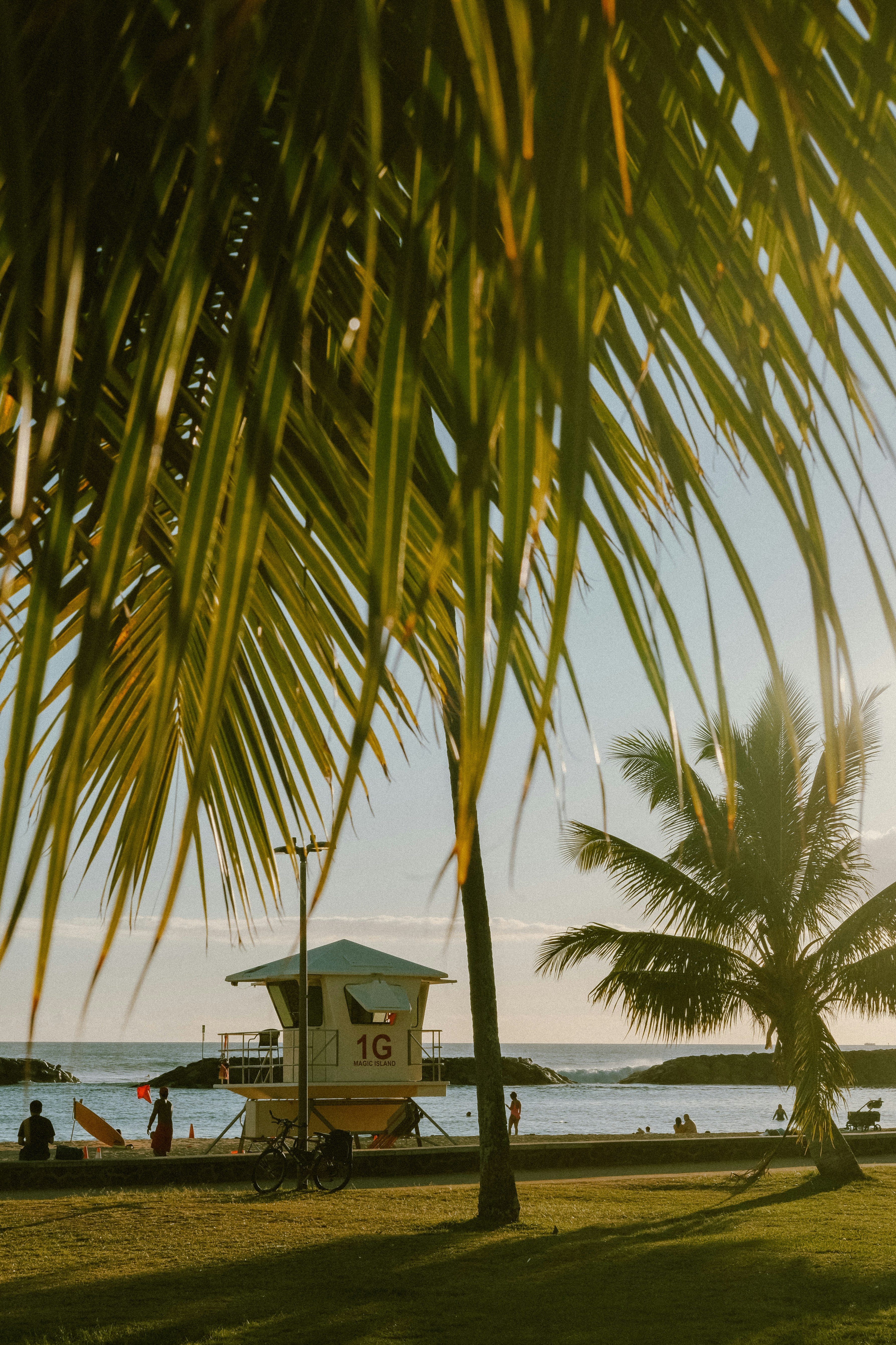 Awaiting Sunset at the Palm-Fringed Beach Lounge