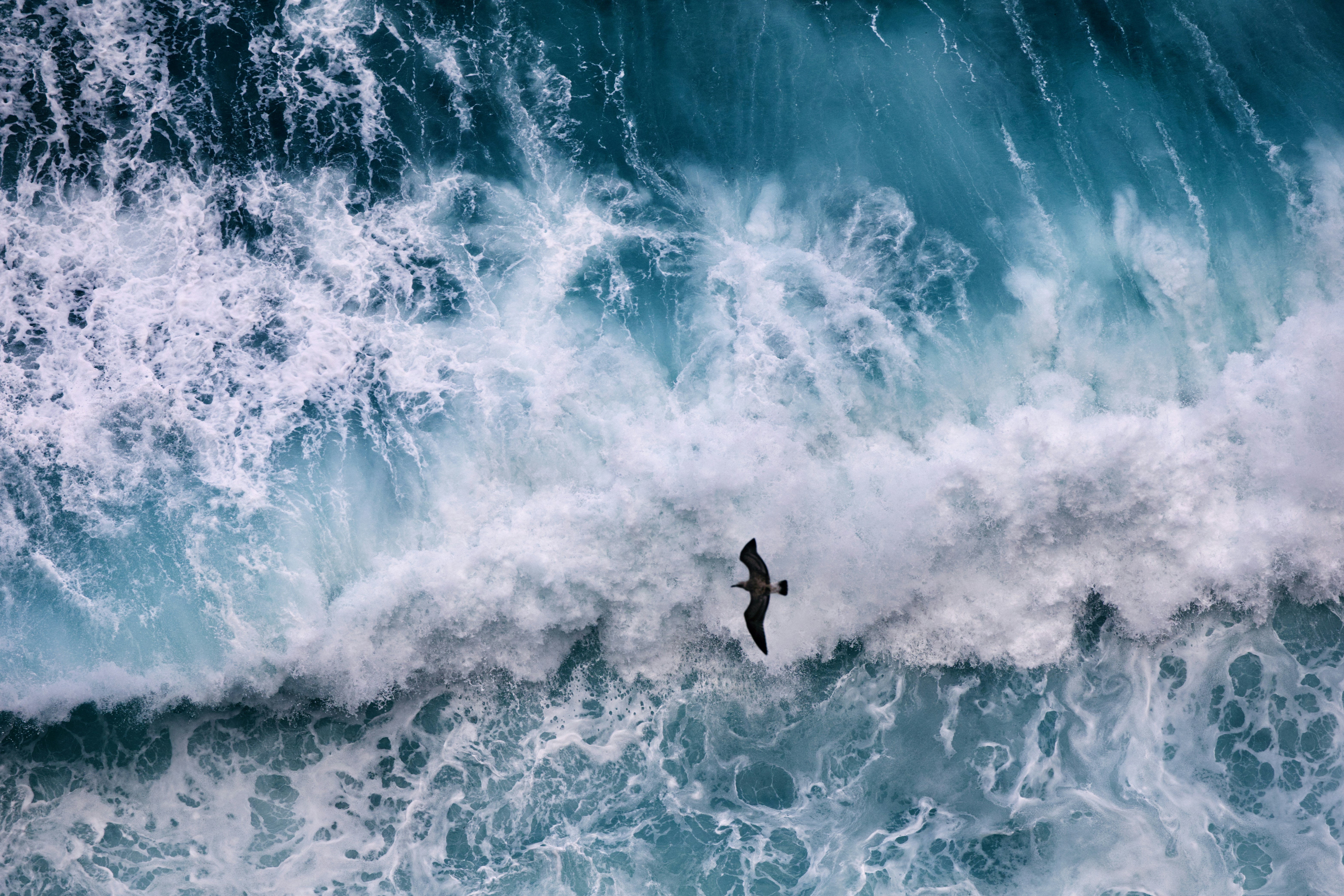 Surfer Silhouette Riding a Breaker Amidst a Turbulent Sea