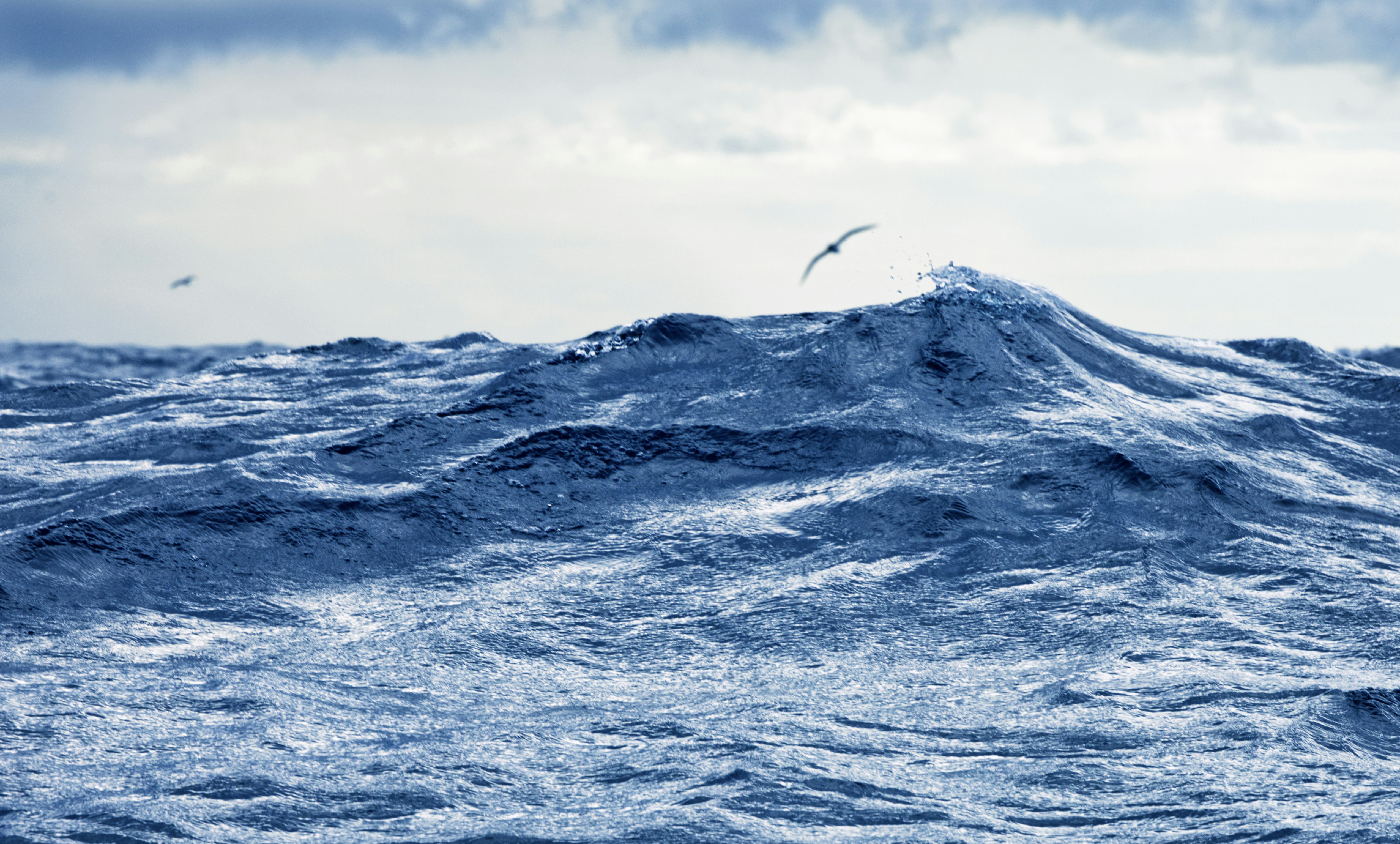 Midday Crest: A Blue Ocean Pulse Across Rough Seas