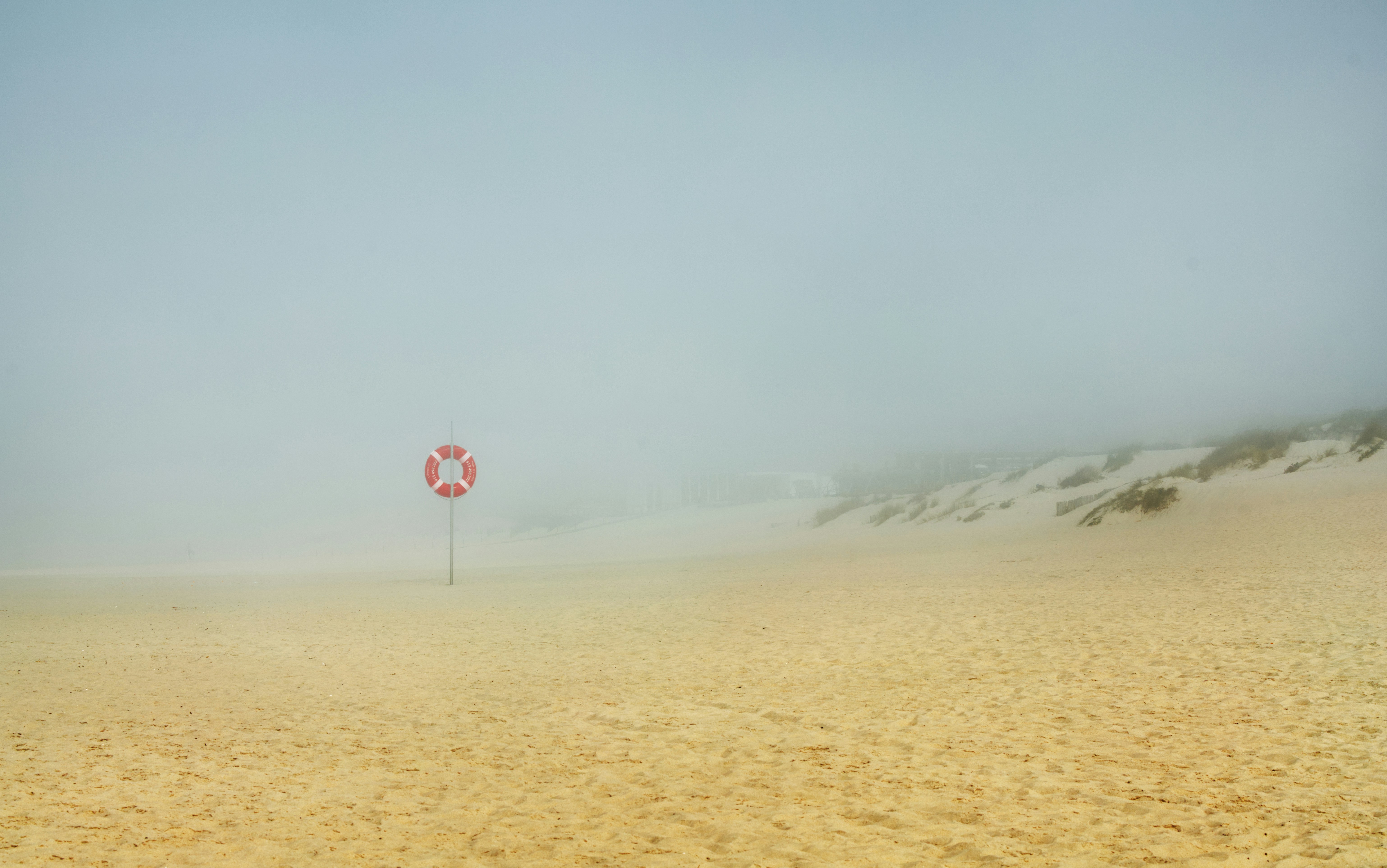 Lonely Lifebuoy on a Misty Dune Coast