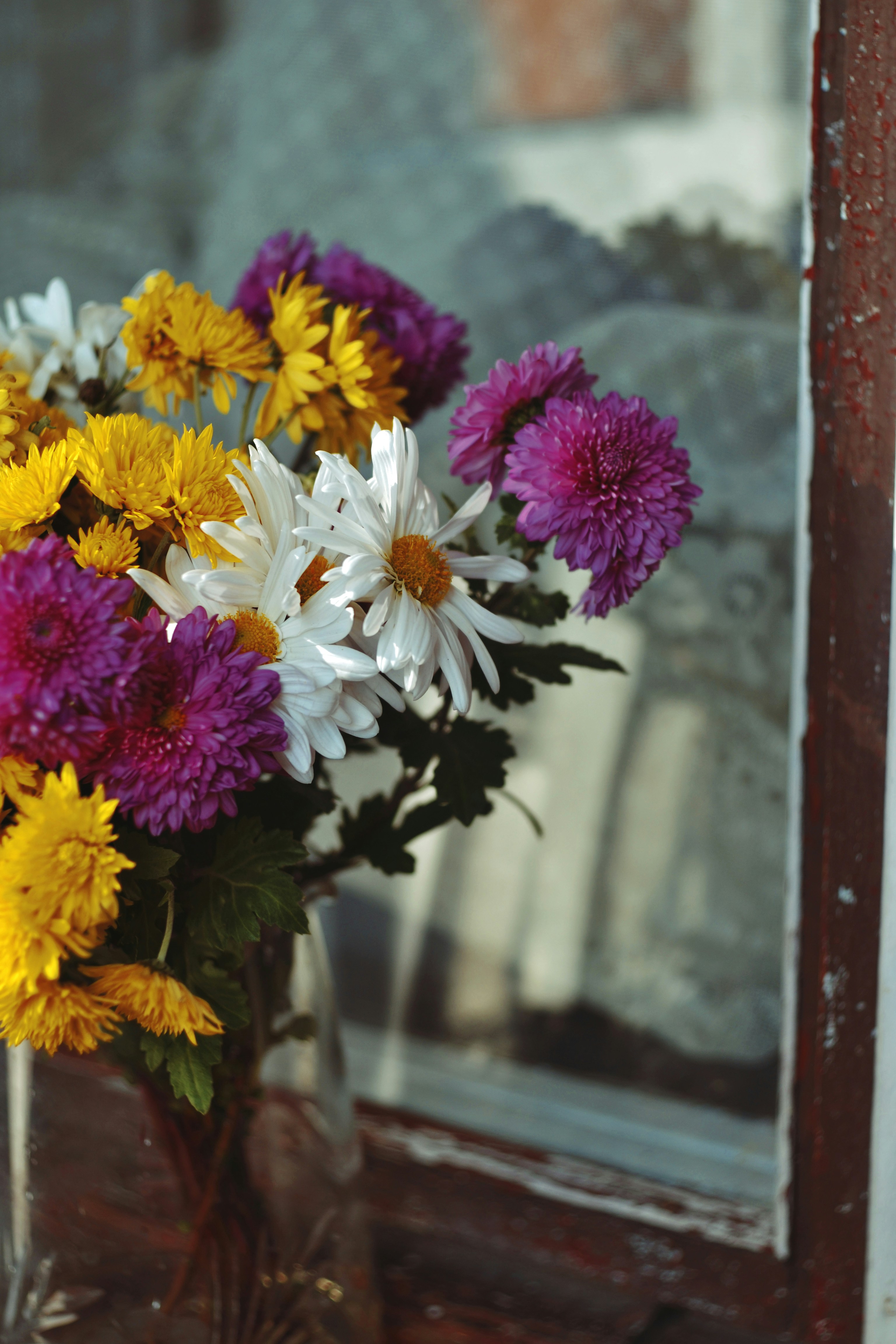 Bouquet at the Window: Bright Chrysanthemums and Daisies in Soft Natural Light