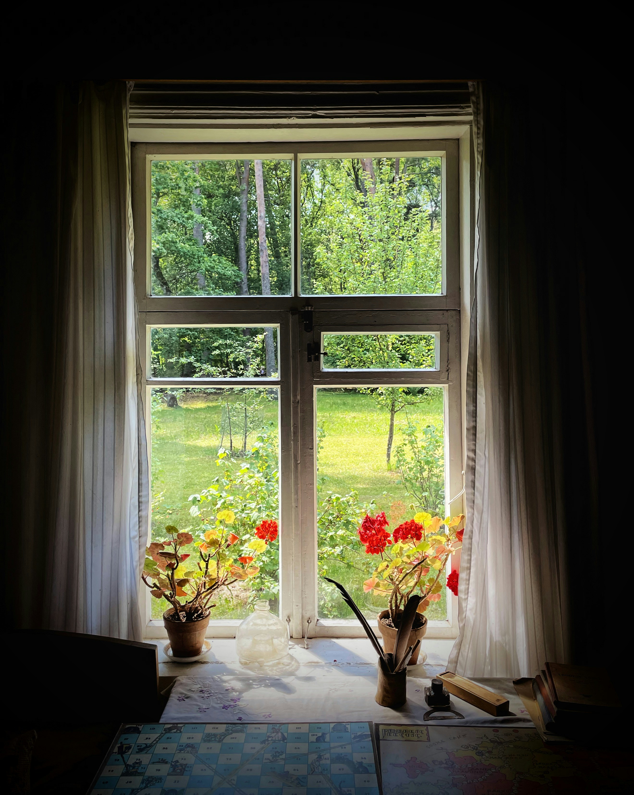 Sunlit Garden Through an Open Window