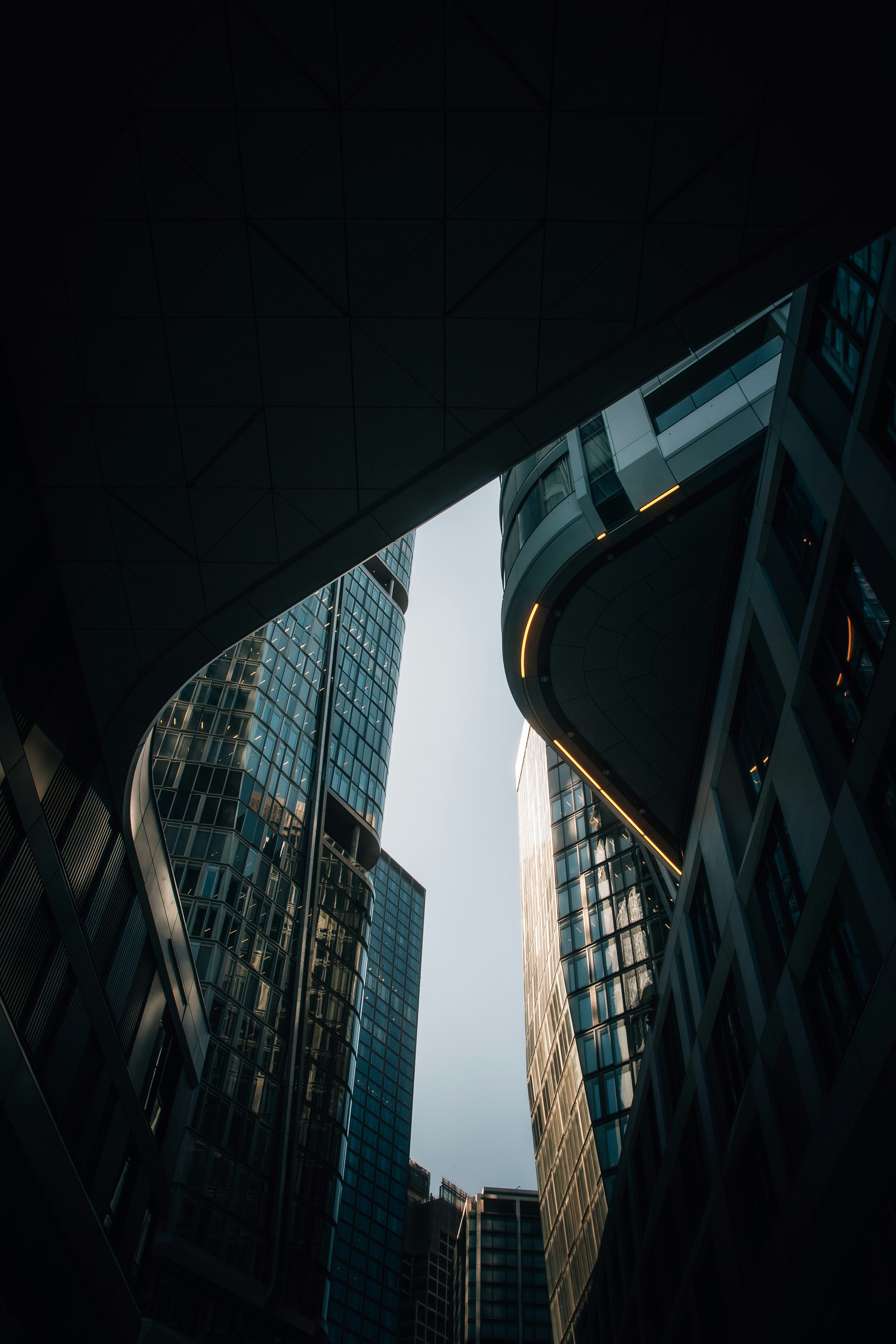 Skyward Atrium: Neon Outline Between Tall Glass Canopies