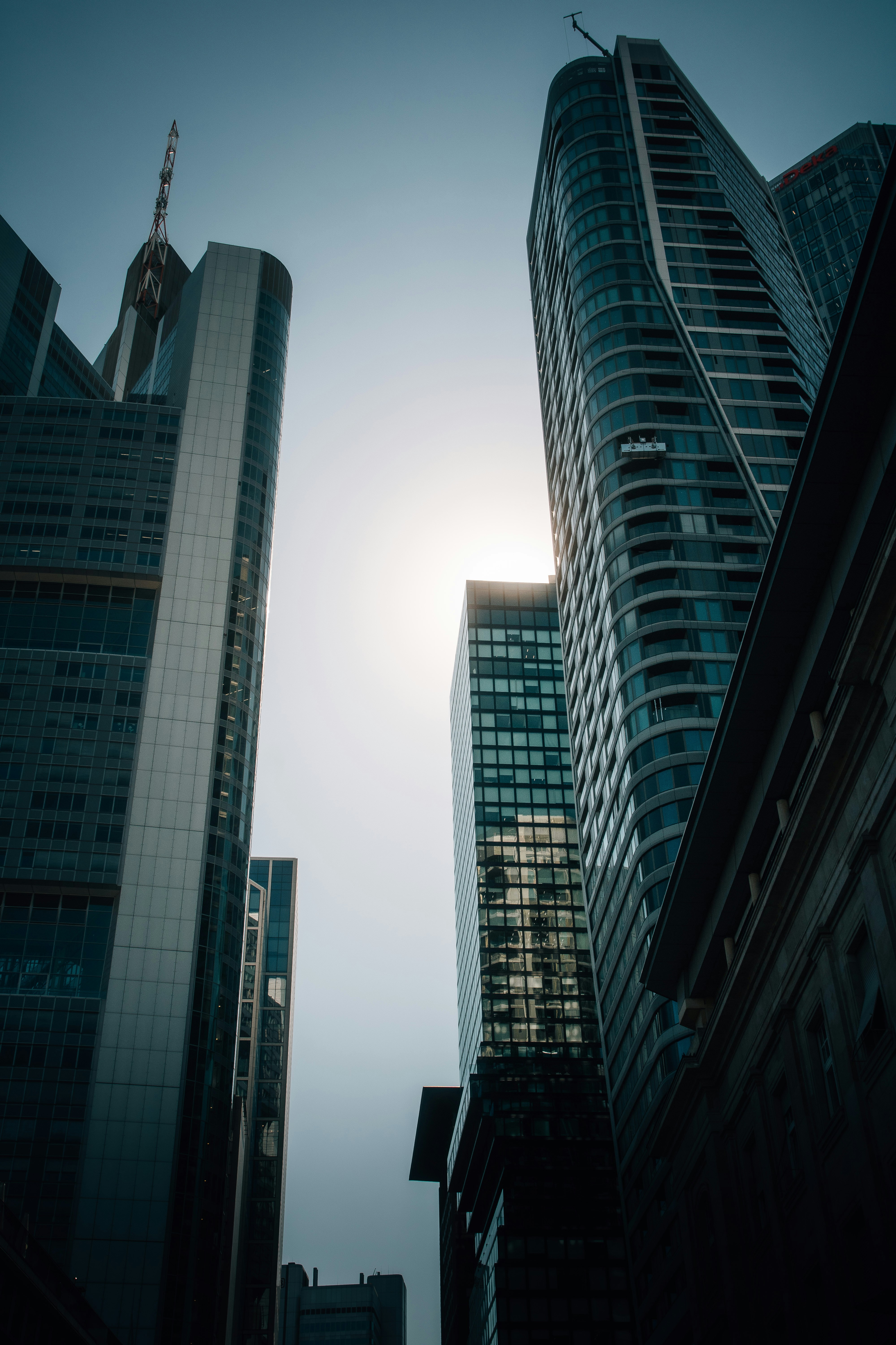 Sunlit Skyscrapers: A Quiet Corridor Between Titans