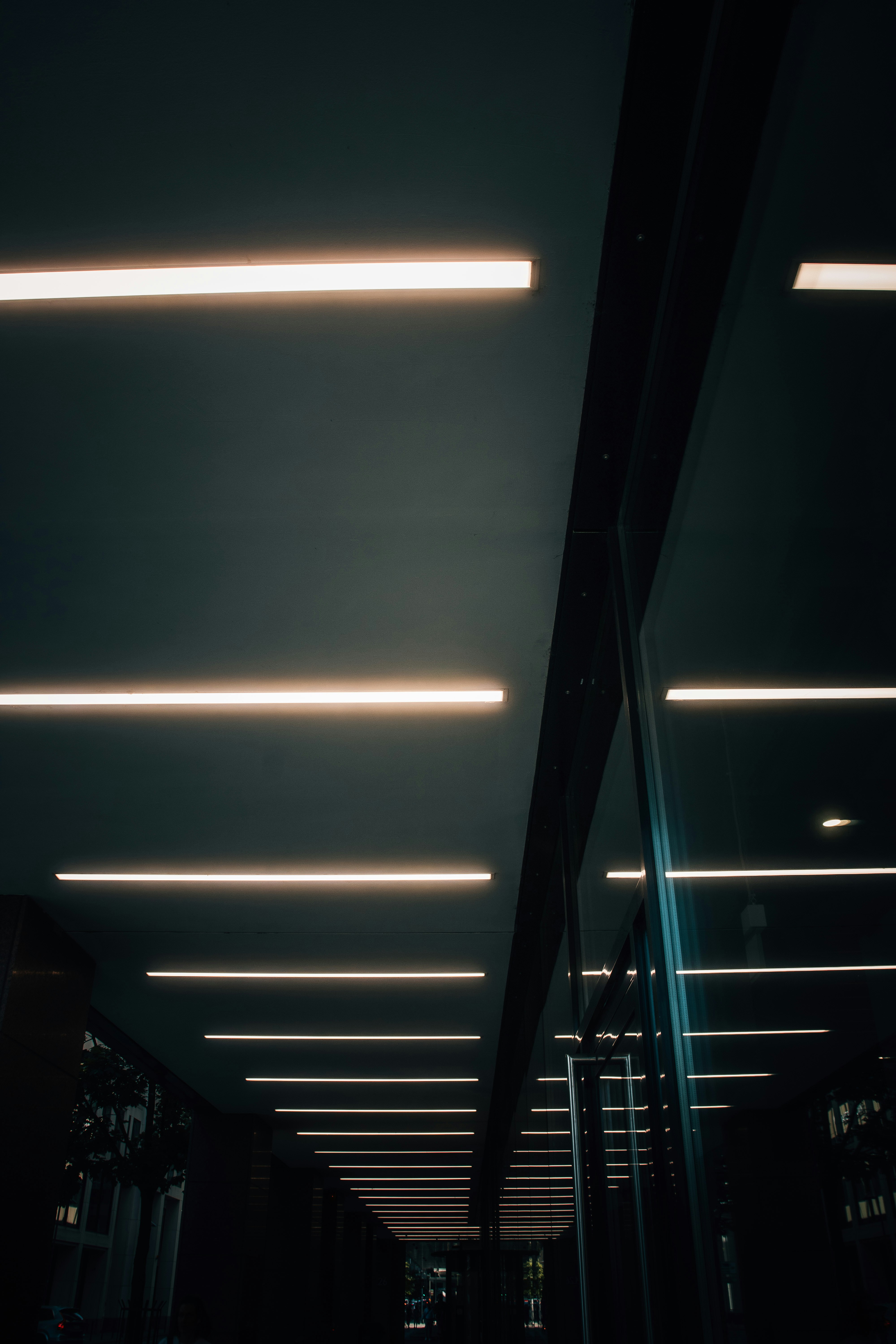 Neon Lined Corridor: Echoes of Light in a Modern Passage