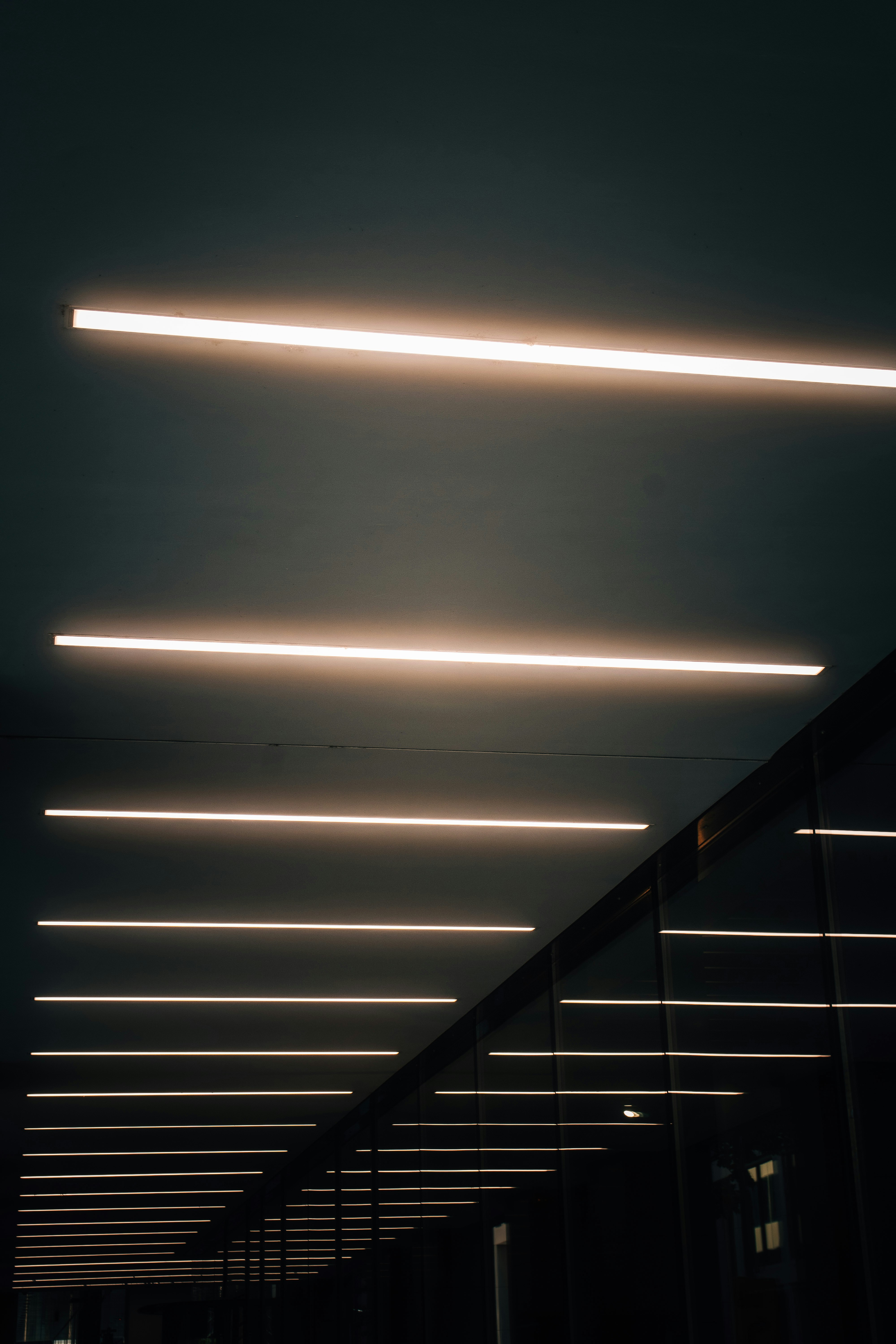 Neon Lines in the Quiet Corridor