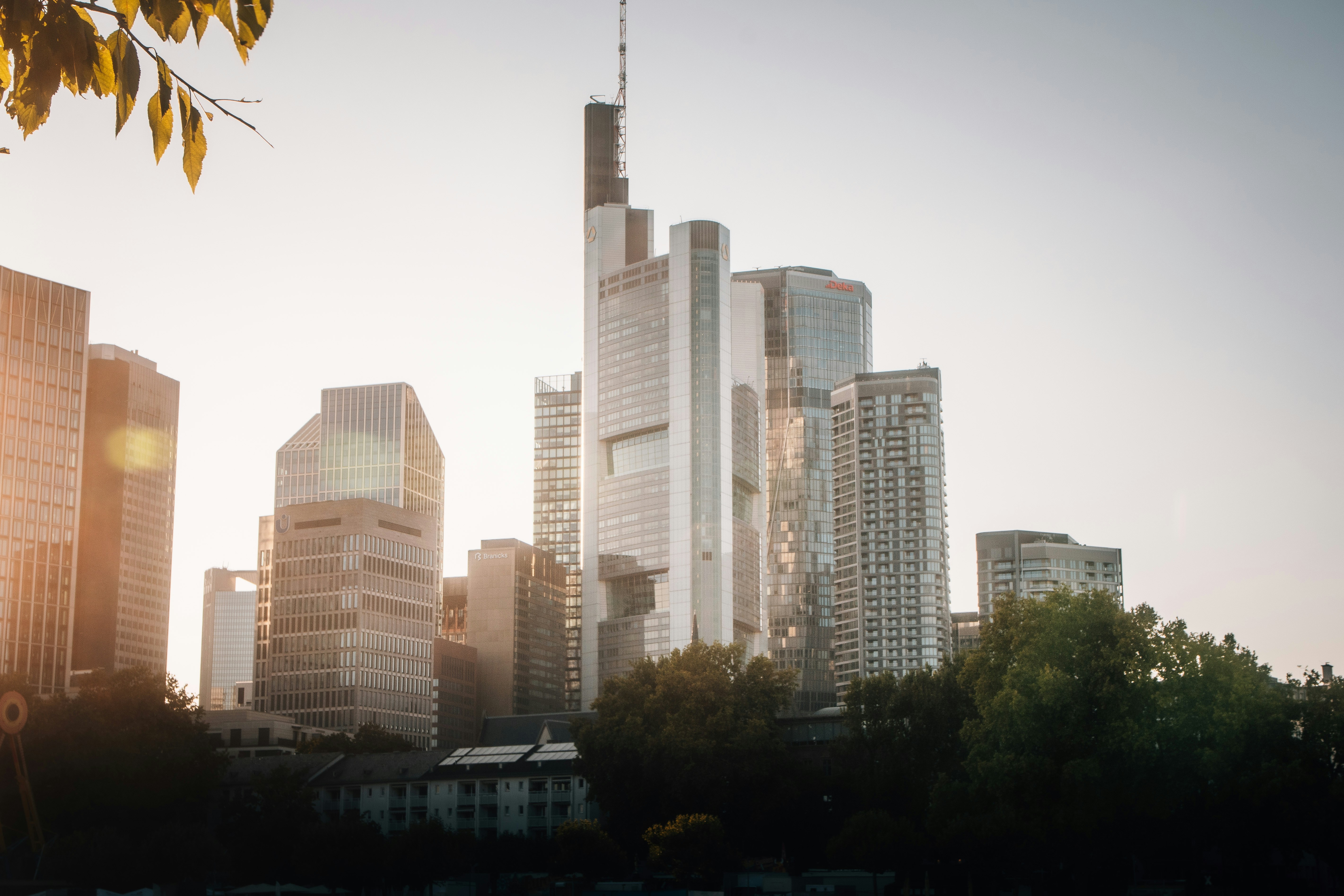 Sunlit Skyline: Glass Giants and Verdant Edge