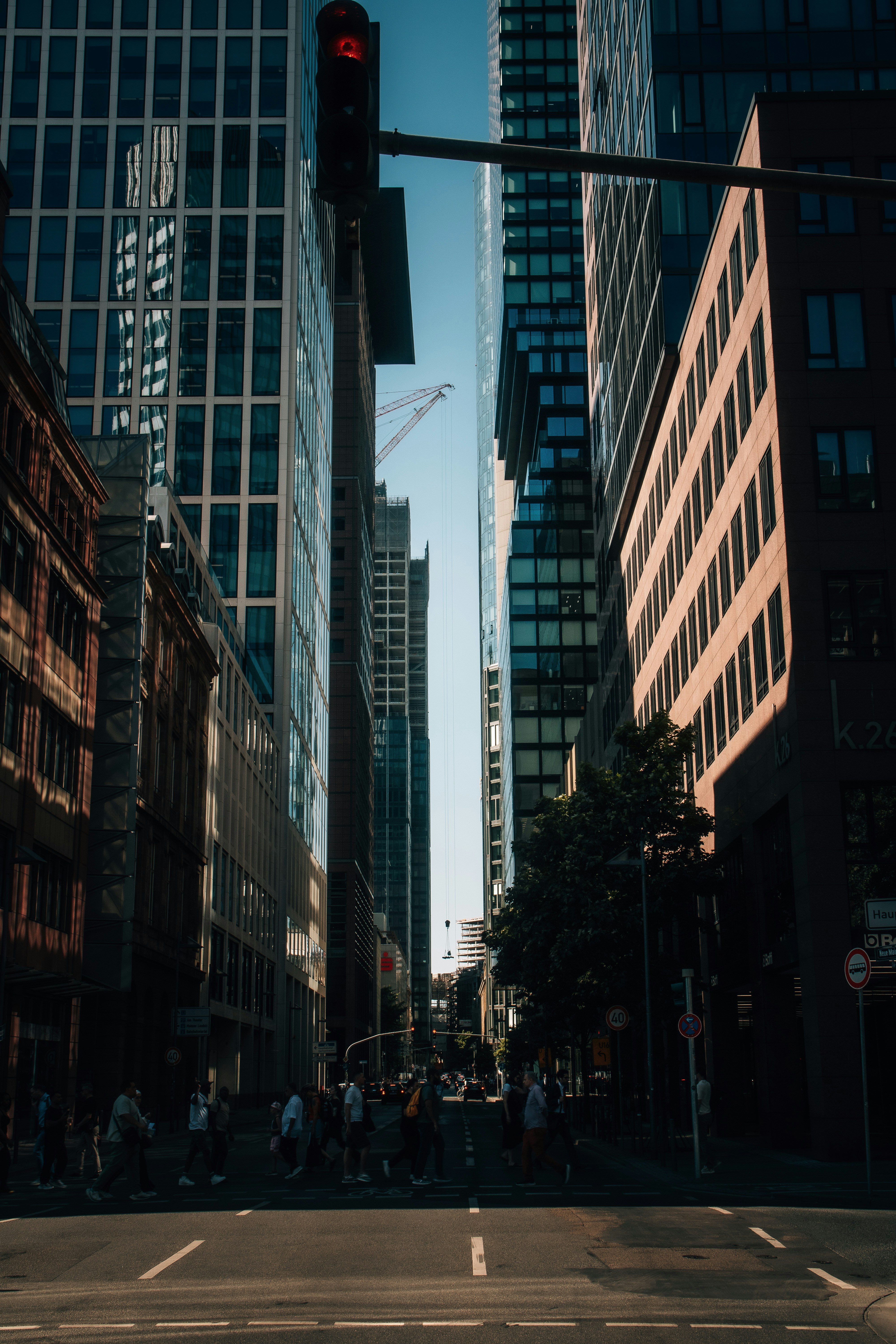 Streetscape between Glass and Steel