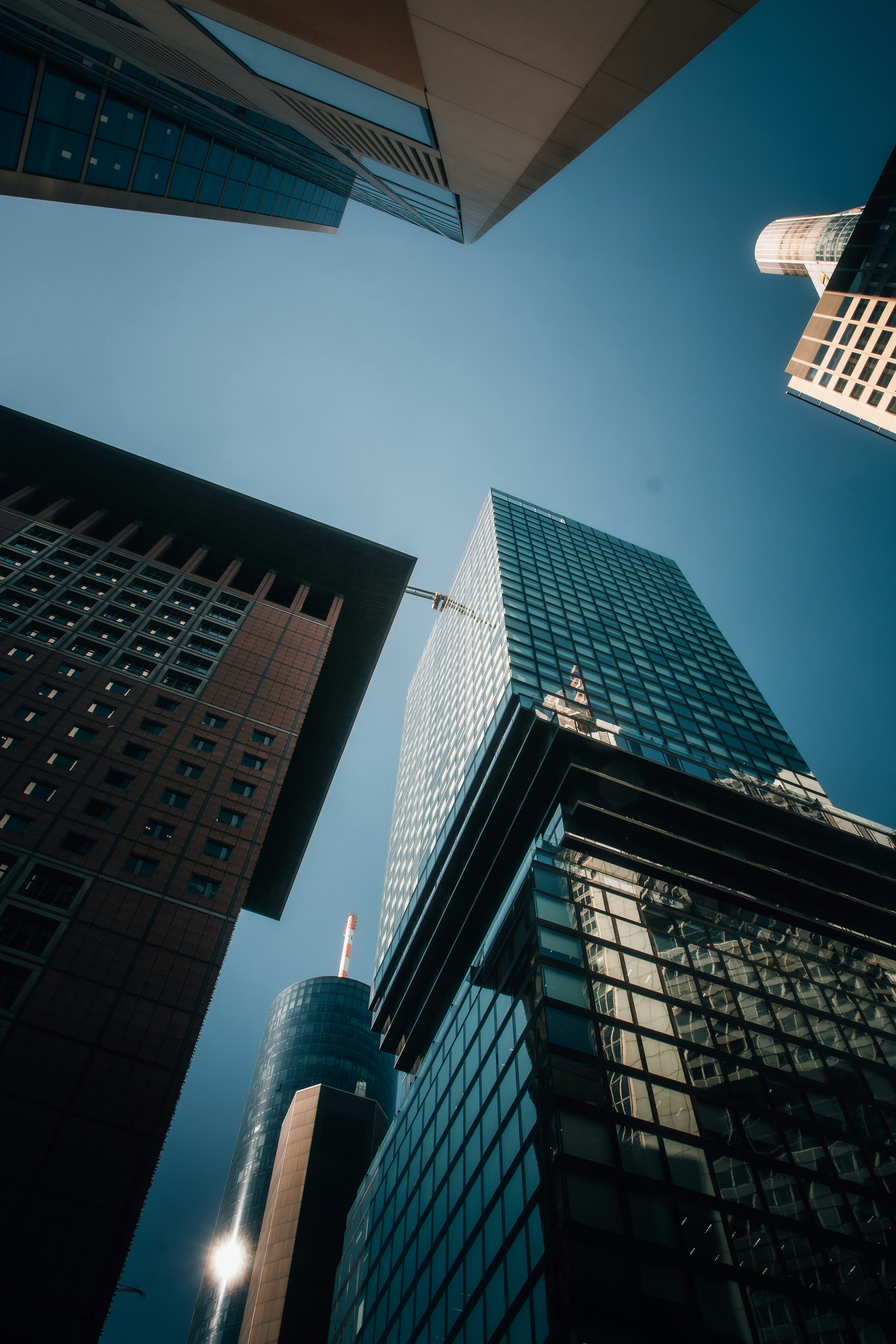 Vertical Horizon: A Canyon of Glass and Steel Reaching for the Sky