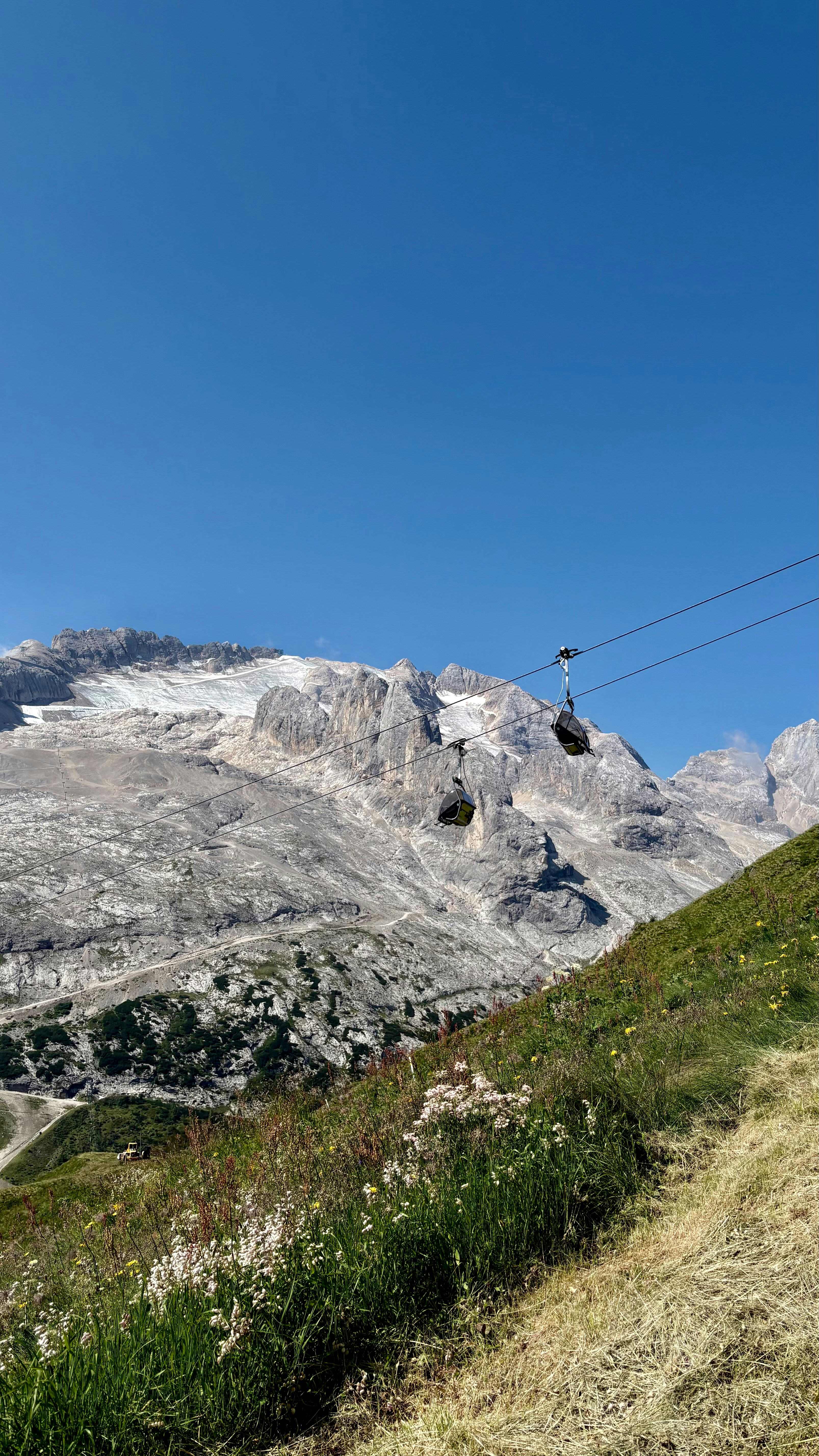 Snowy mountain slopes and a green hillside frame a cable car line gliding through a rugged alpine landscape. A clear blue sky dominates the upper portion while wildflowers and grasses populate the foreground.
