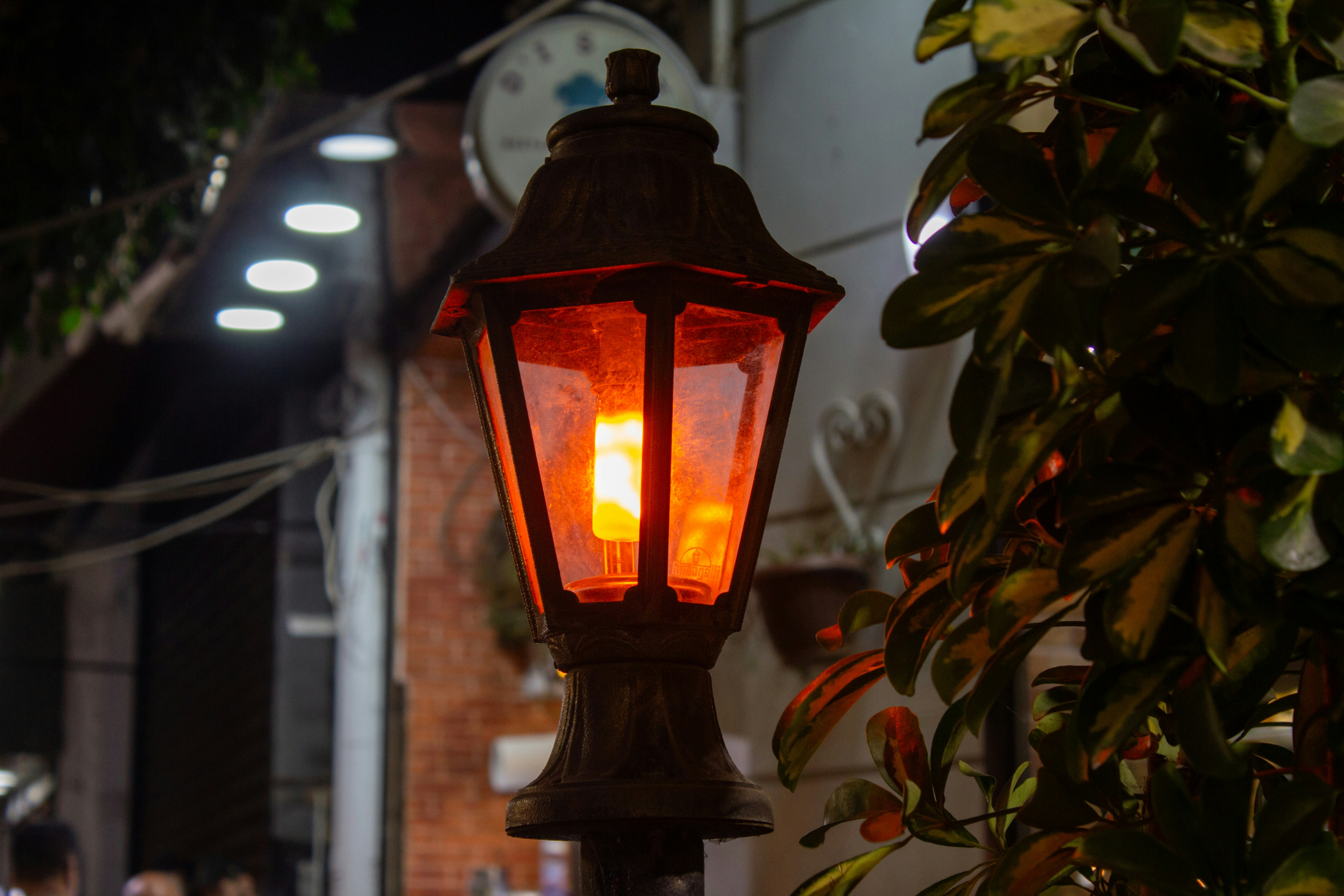 Urban Lantern Glow: A Nighttime Street Lamp Framed by foliage