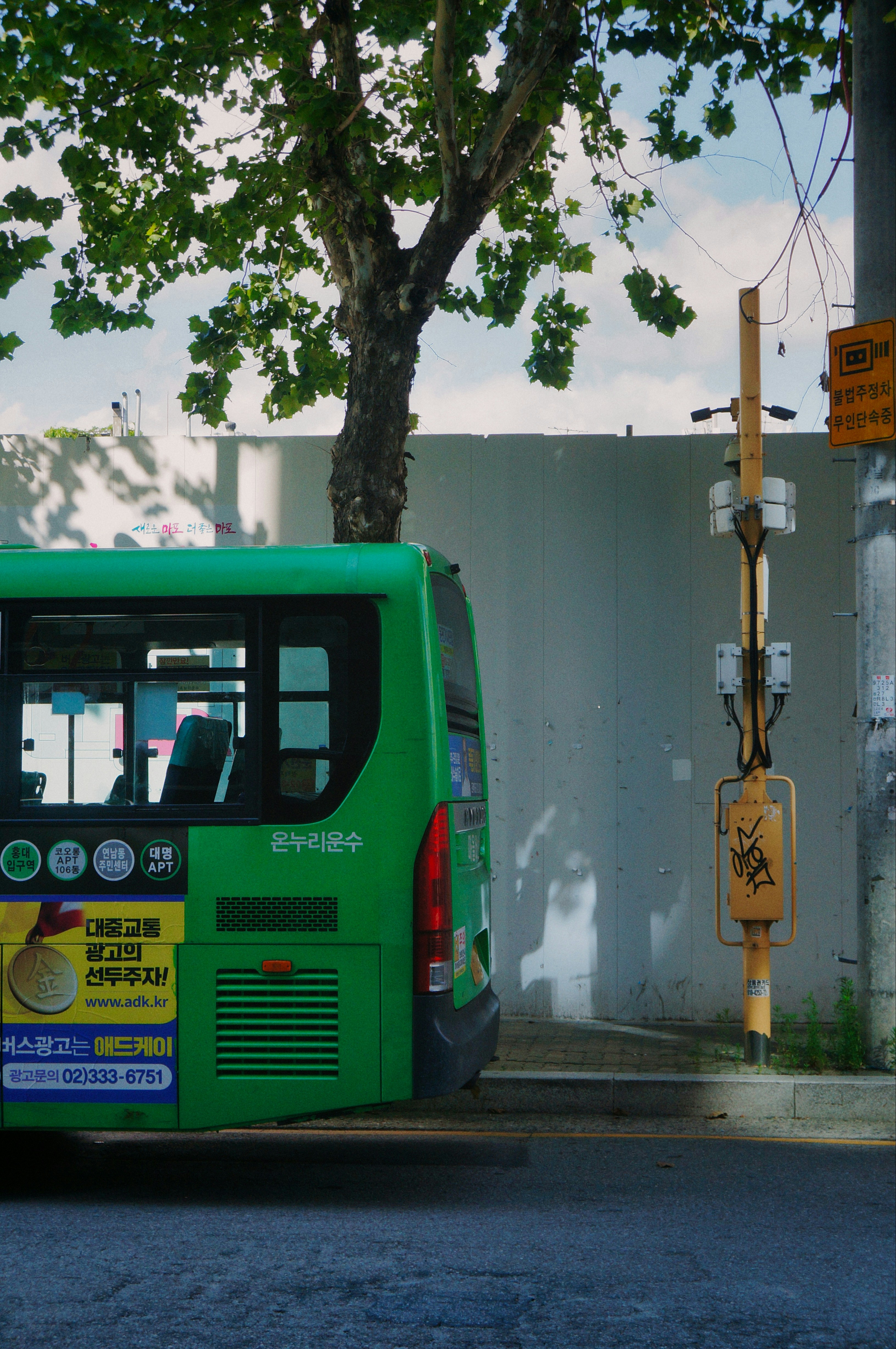 Green City Bus at the Edge of a Graffiti-Wrapped Pole