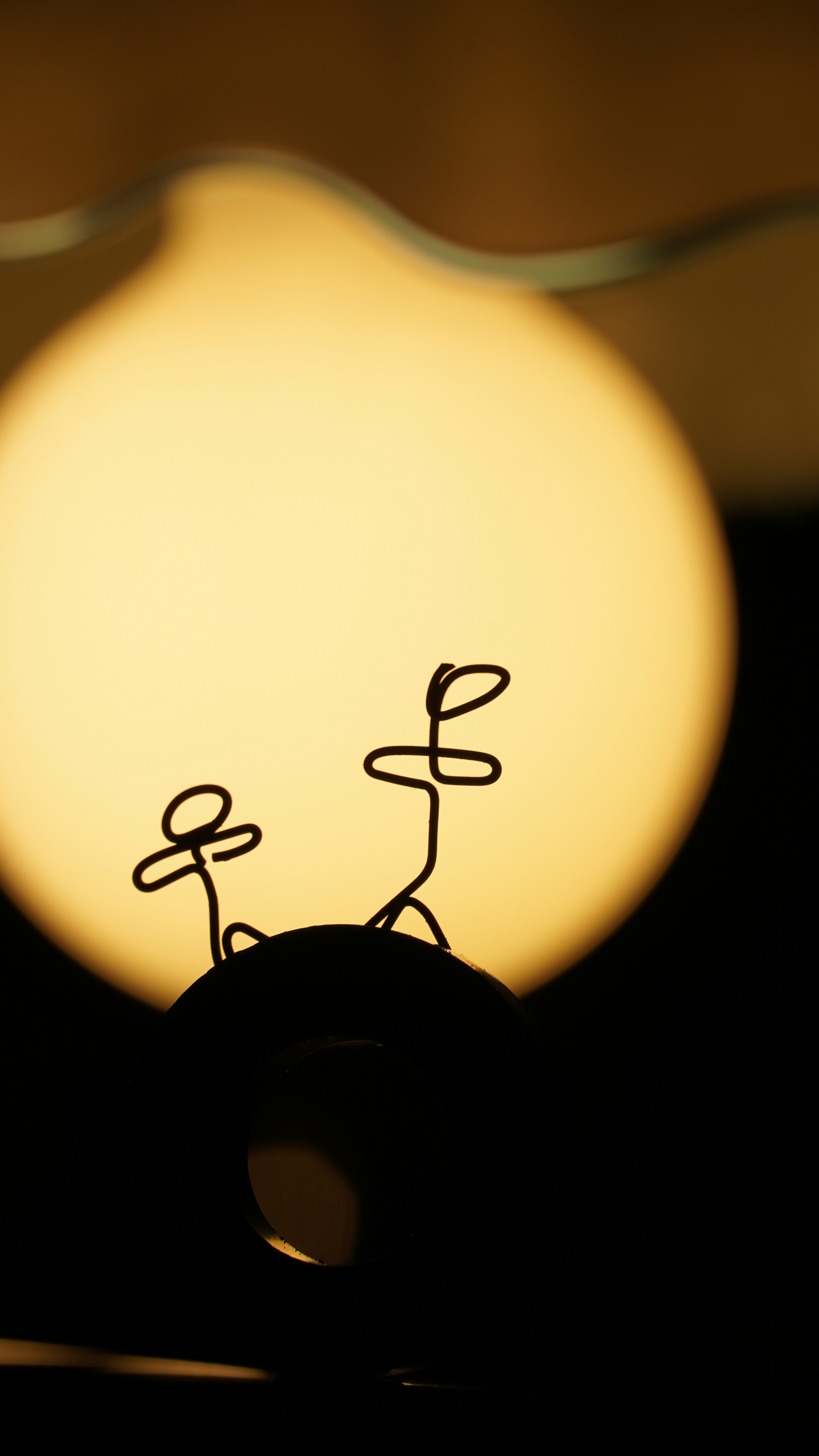 Silhouettes of Wavy Stems against a Backlit Orb