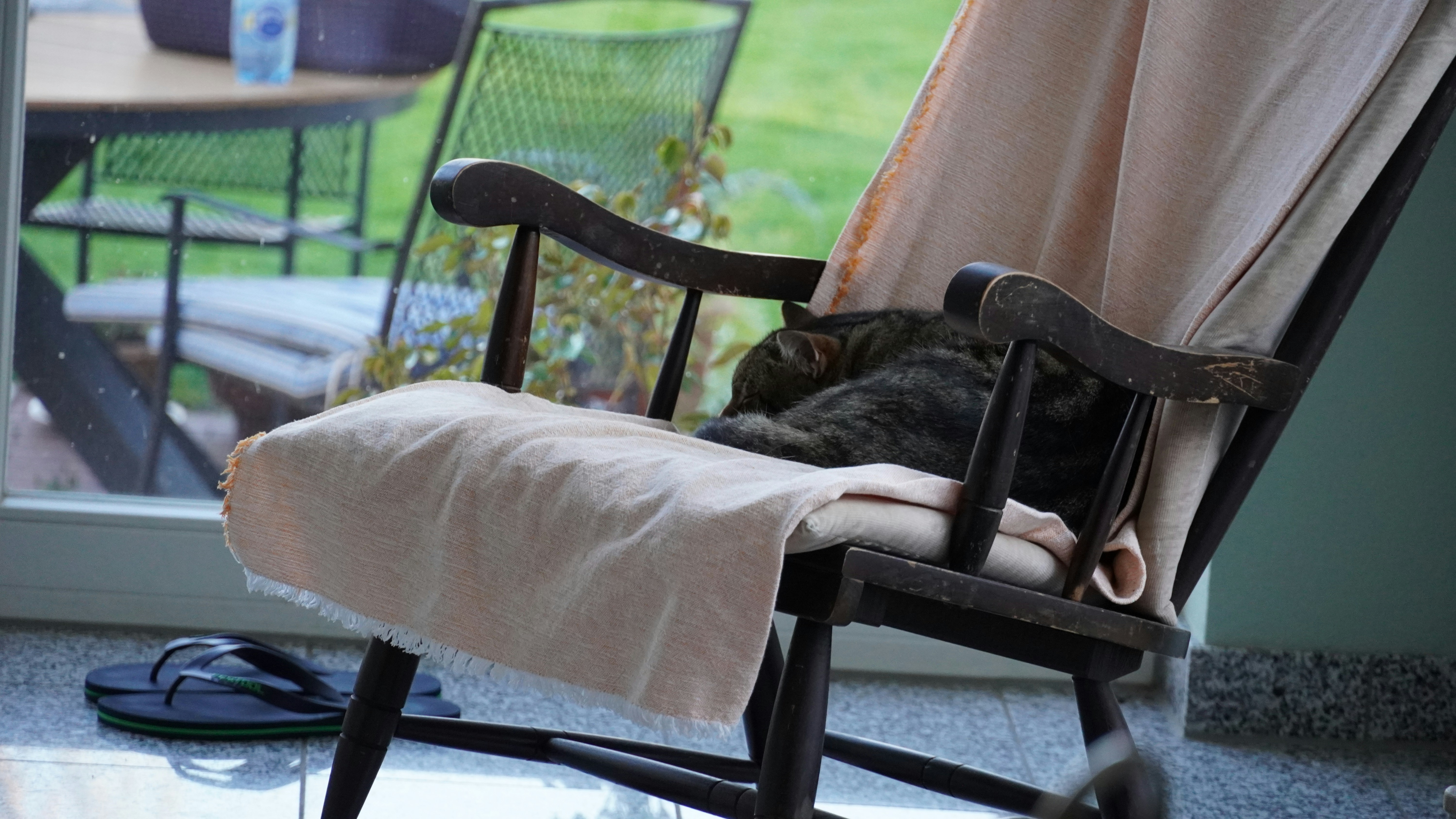 Sunlit Porch Tranquility: A Chair with a Blanket and a Resting Cat