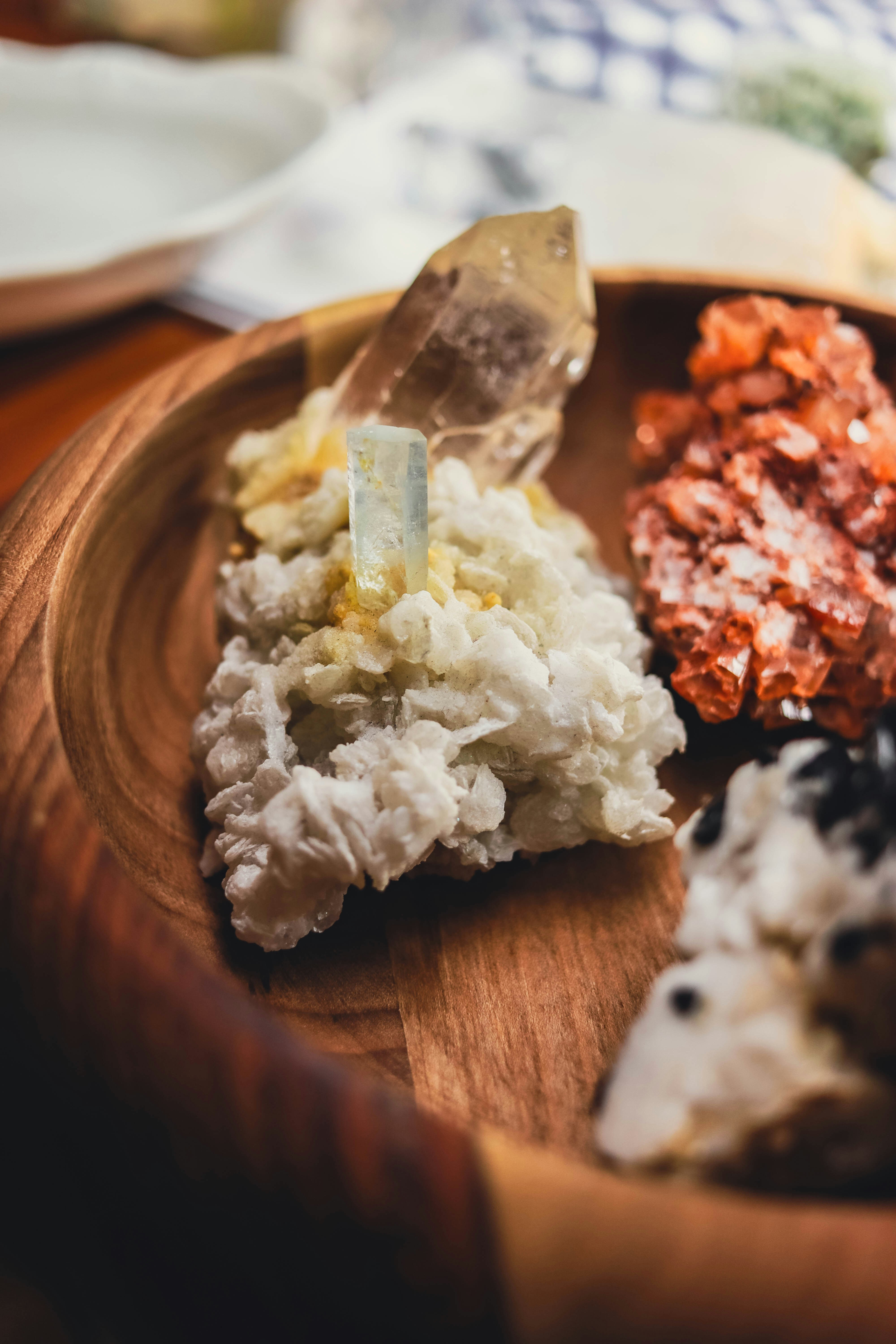 Close-up of mineral crystals perched on a wooden tray, with varied textures and colors including white fluffy mineral, pale blue-green shard, and a reddish crystalline cluster; a soft-focus background suggests a natural, garnished setting.
