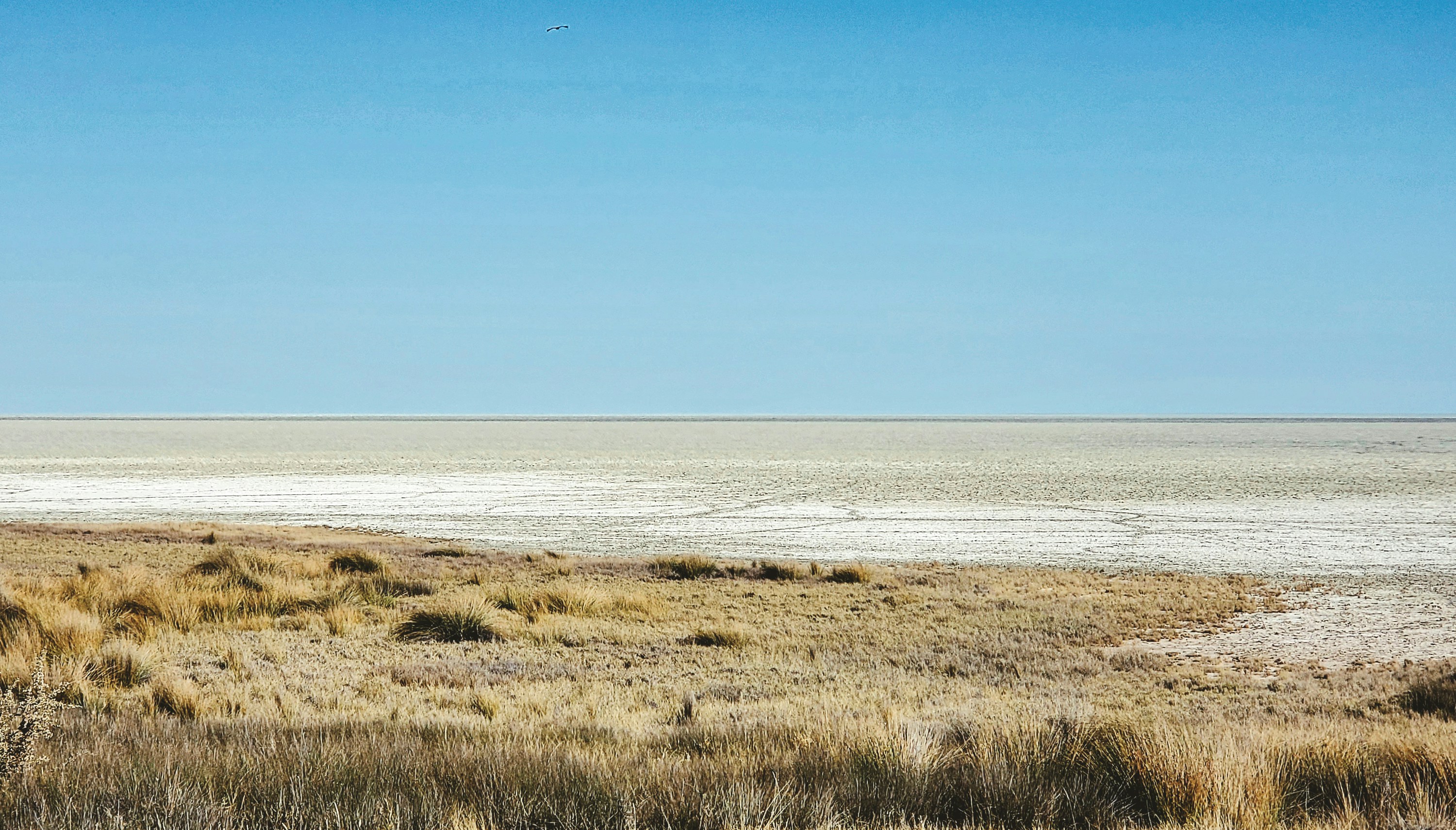 Salt Flats Meeting the Sky: A Quiet Coastal Plain Under a Clear Blue