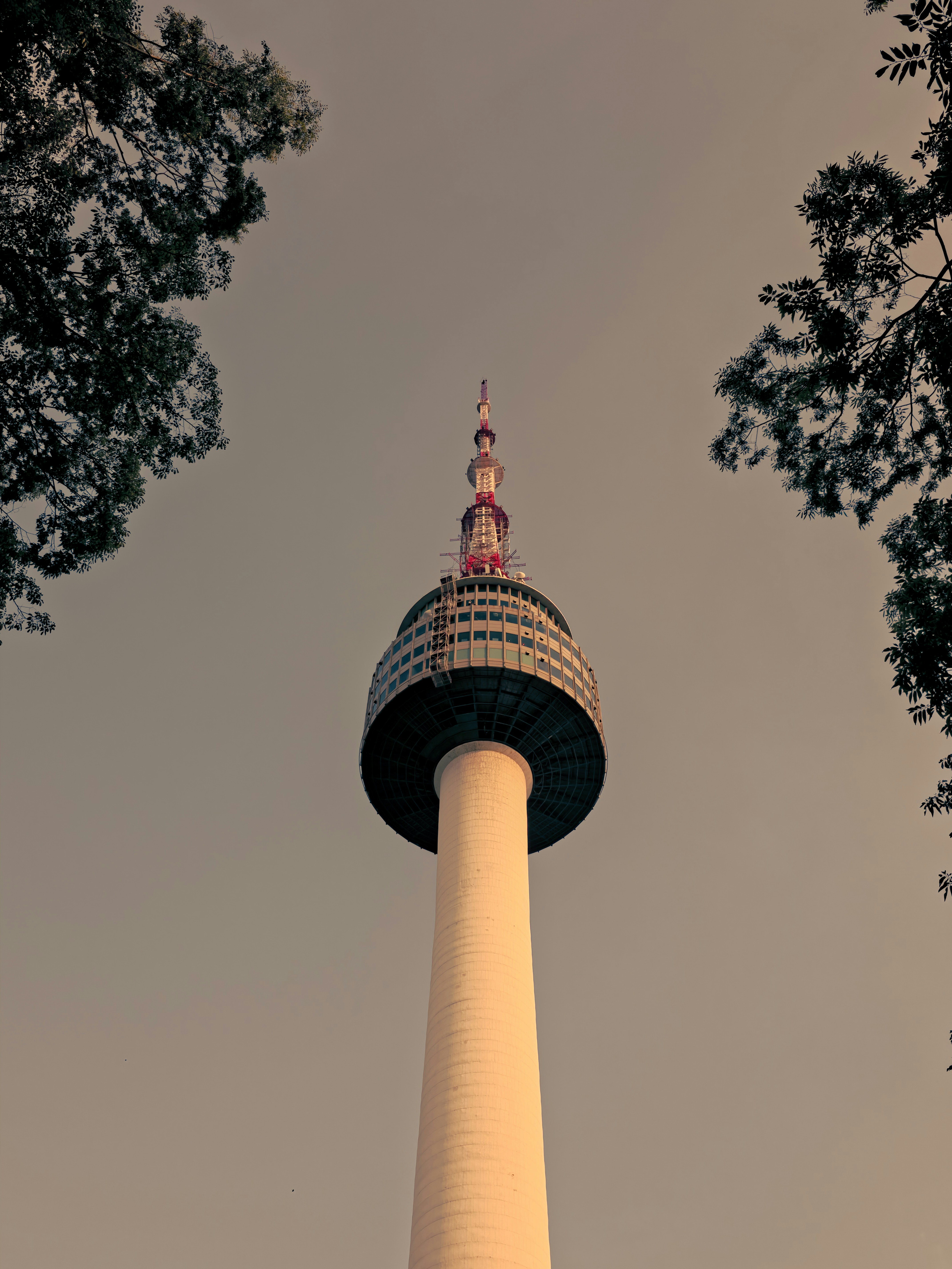 Towering Silence: A Low-Angle Portrait of a City Icon