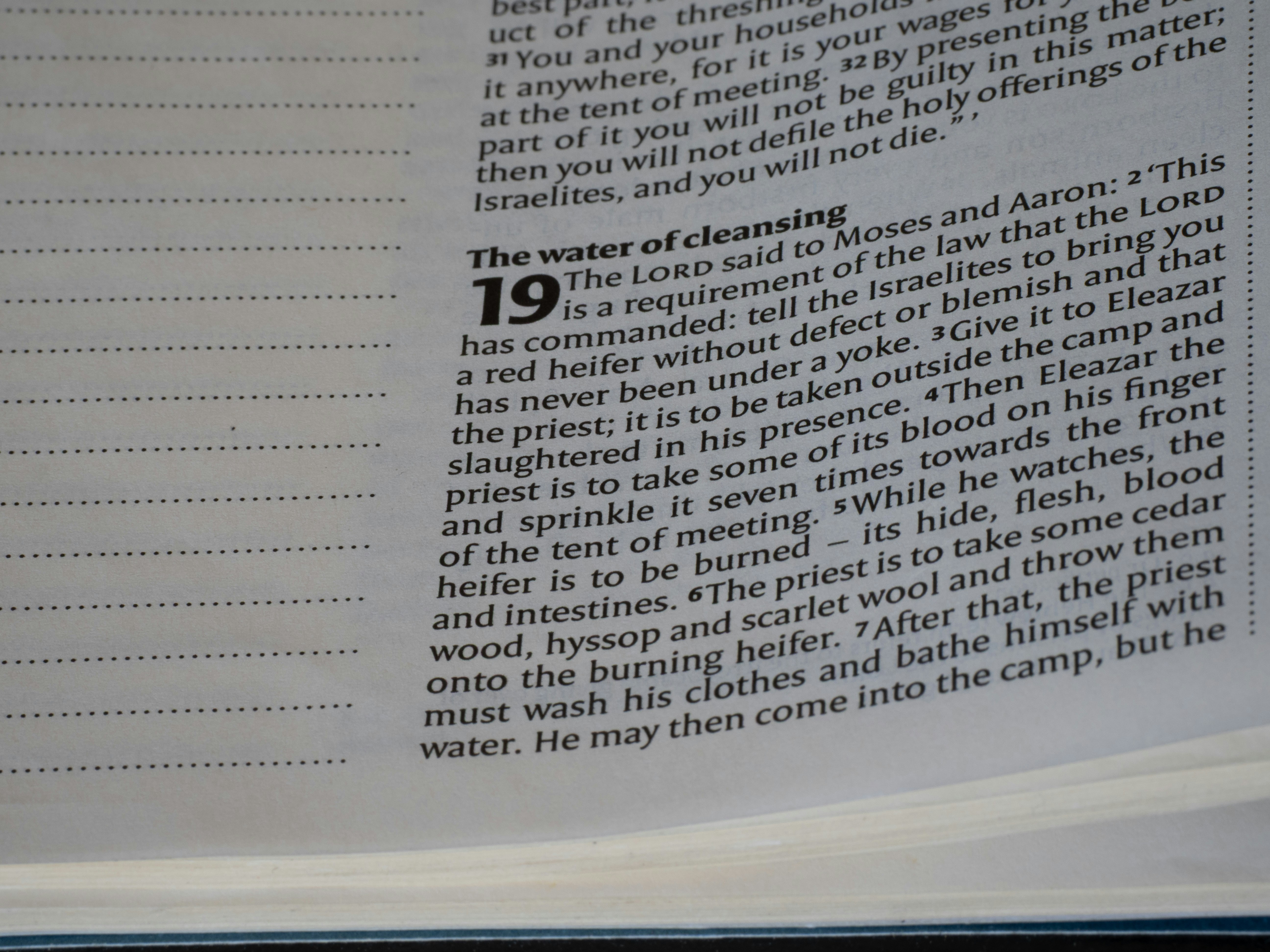 Textual Echoes: A Close Reading of a Bible Page