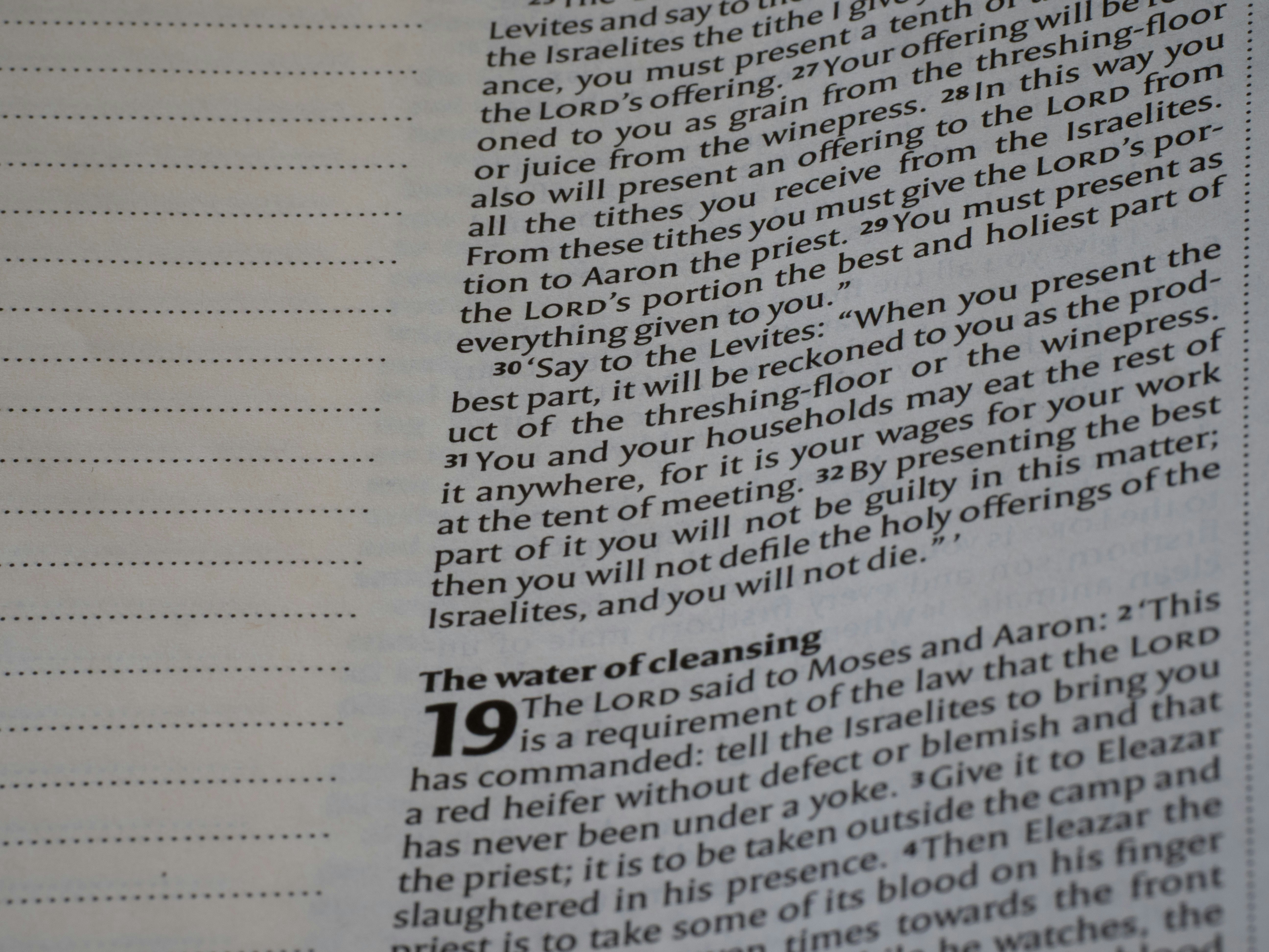 Scriptural Fragments: A Close-Up of Text in a Page Fold