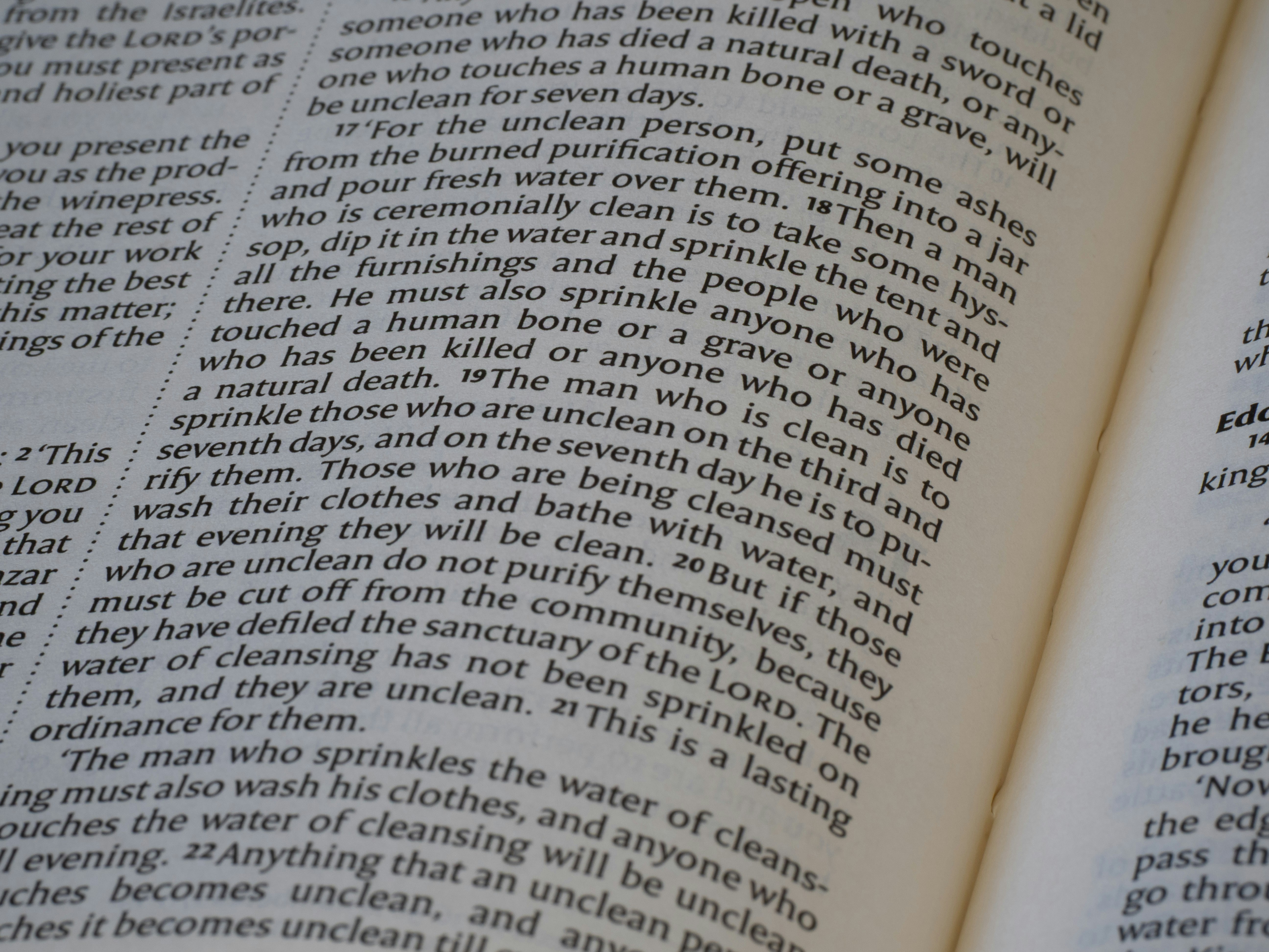 Under the Gloss: A Close Reading of Ink and Texture