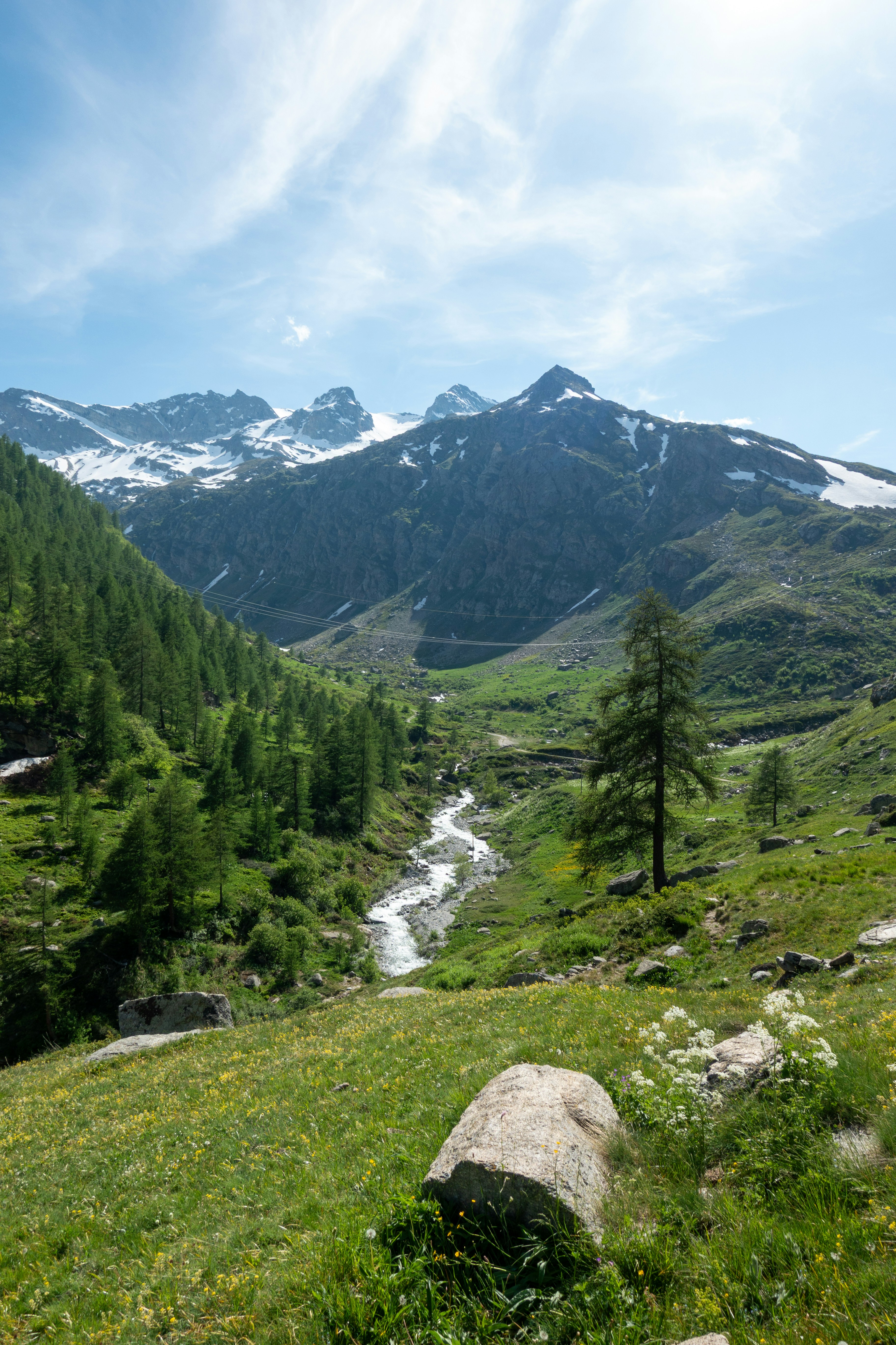 Trail of Glacier Streams Through Alpine Light