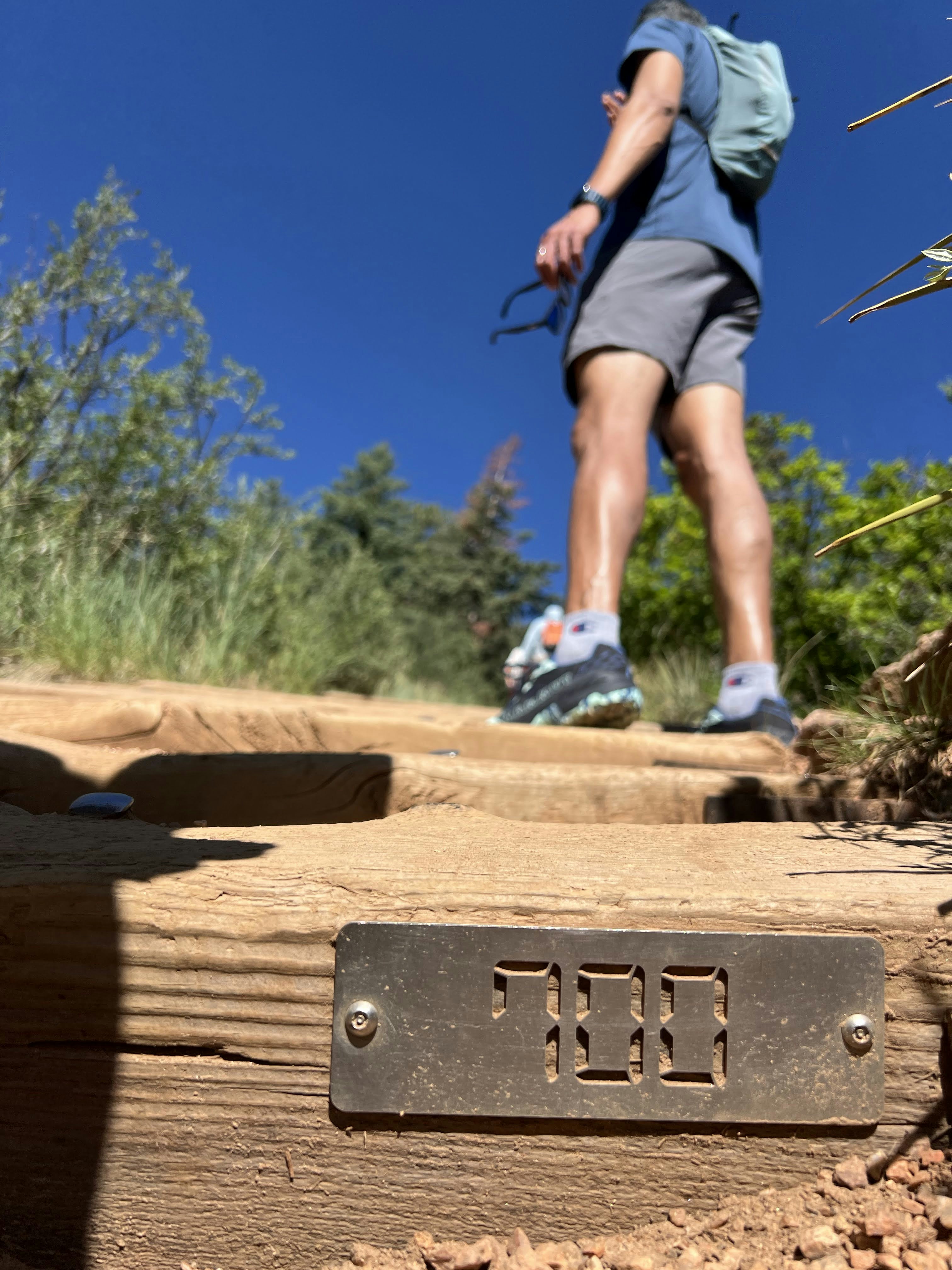 Trailbound in Focus: A Hiker Steps Across Carved Wood