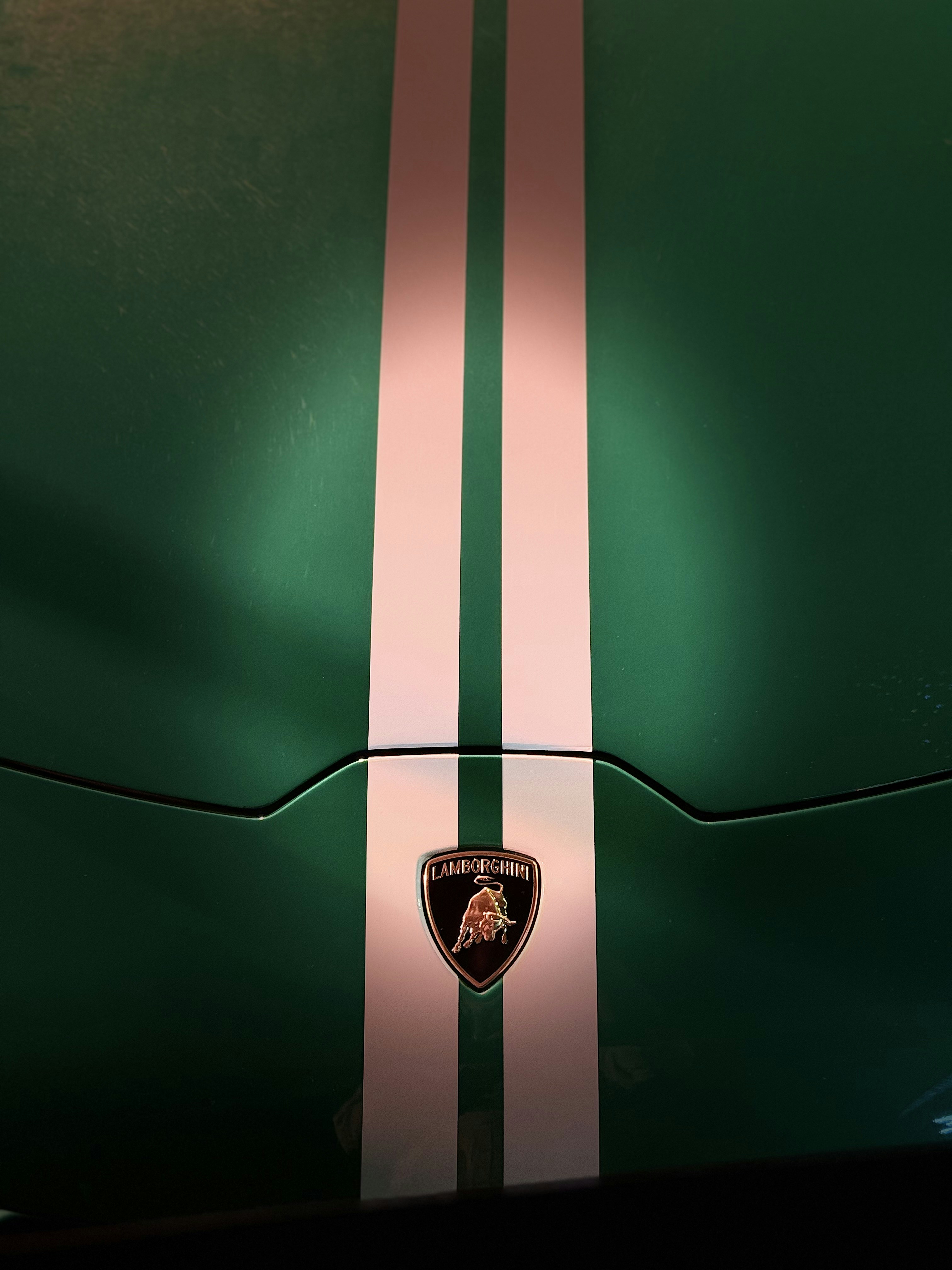 Green Lamborghini Emblem Korina Stripe: Hood Portrait