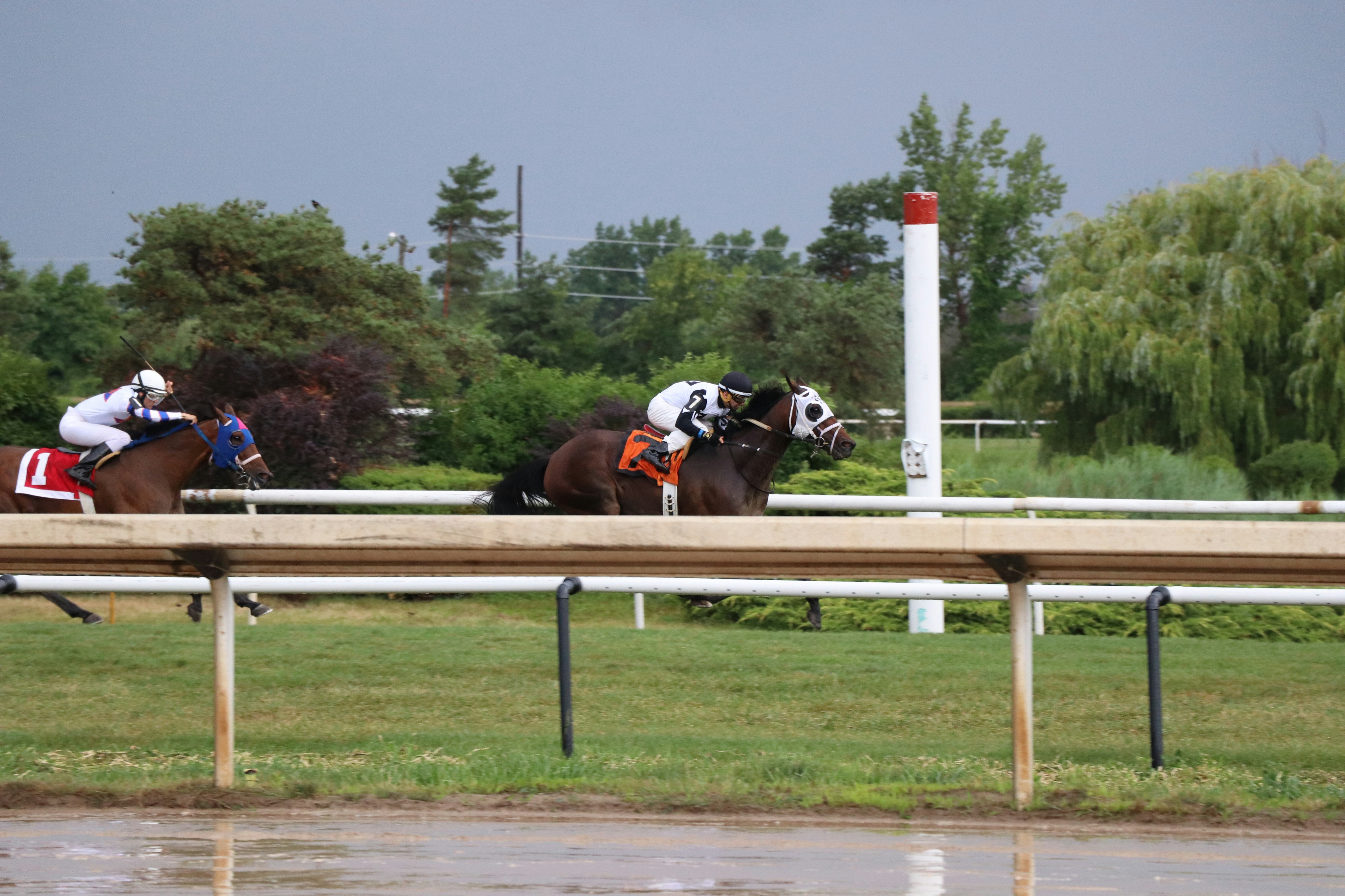 Closing Sprint: Front Runner Narrowly Leads in a Muddy Turf Dash