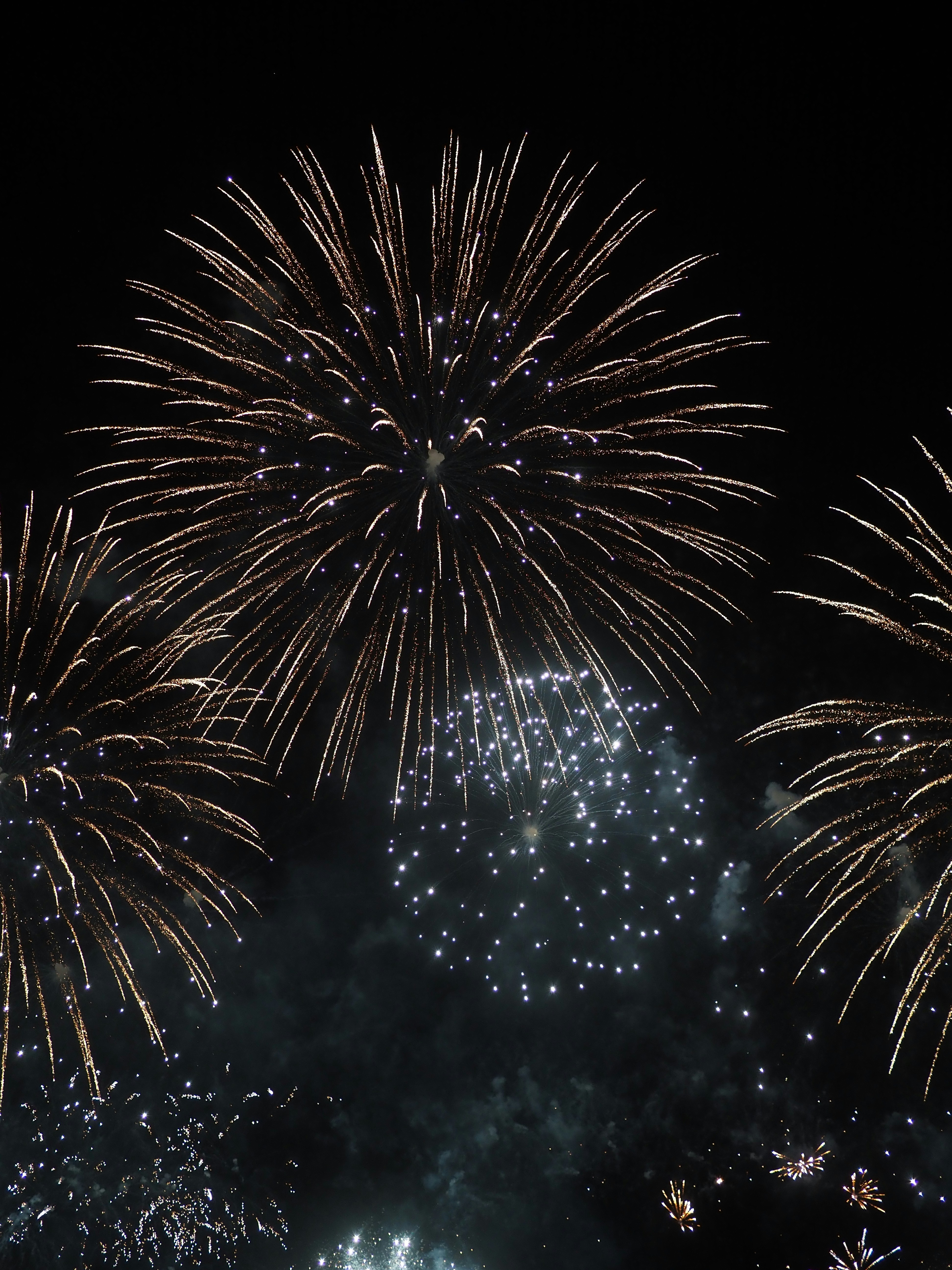 Midnight Bloom: A Panoramic Firework Burst