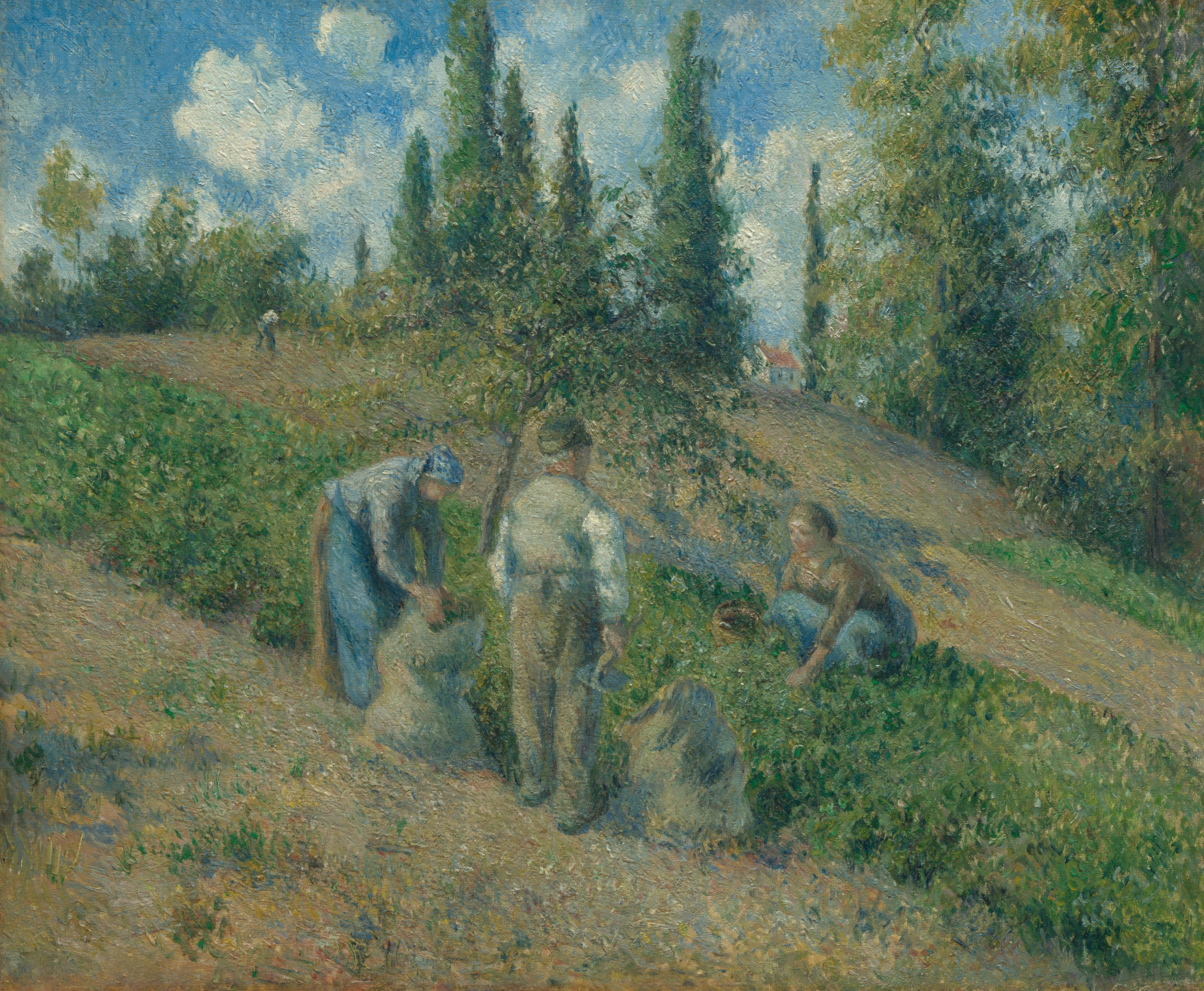 Title: The Harvest, Pontoise (La Récolte, Pontoise),Artist: Camille Pissarro (French, Charlotte Amalie, Saint Thomas 1830–1903 Paris),Date: 1881,Medium: Oil on canvas,Dimensions: 18 1/8 × 21 3/4 in. (46 × 55.2 cm),Framed: 28 3/8 × 31 15/16 in. (72.1 × 81.1 cm),Classification: Paintings,Credit Line: Robert Lehman Collection, 1975,Object Number: 1975.1.197,Curatorial Department: The Robert Lehman Collection. http://www.metmuseum.org/art/collection/search/459108