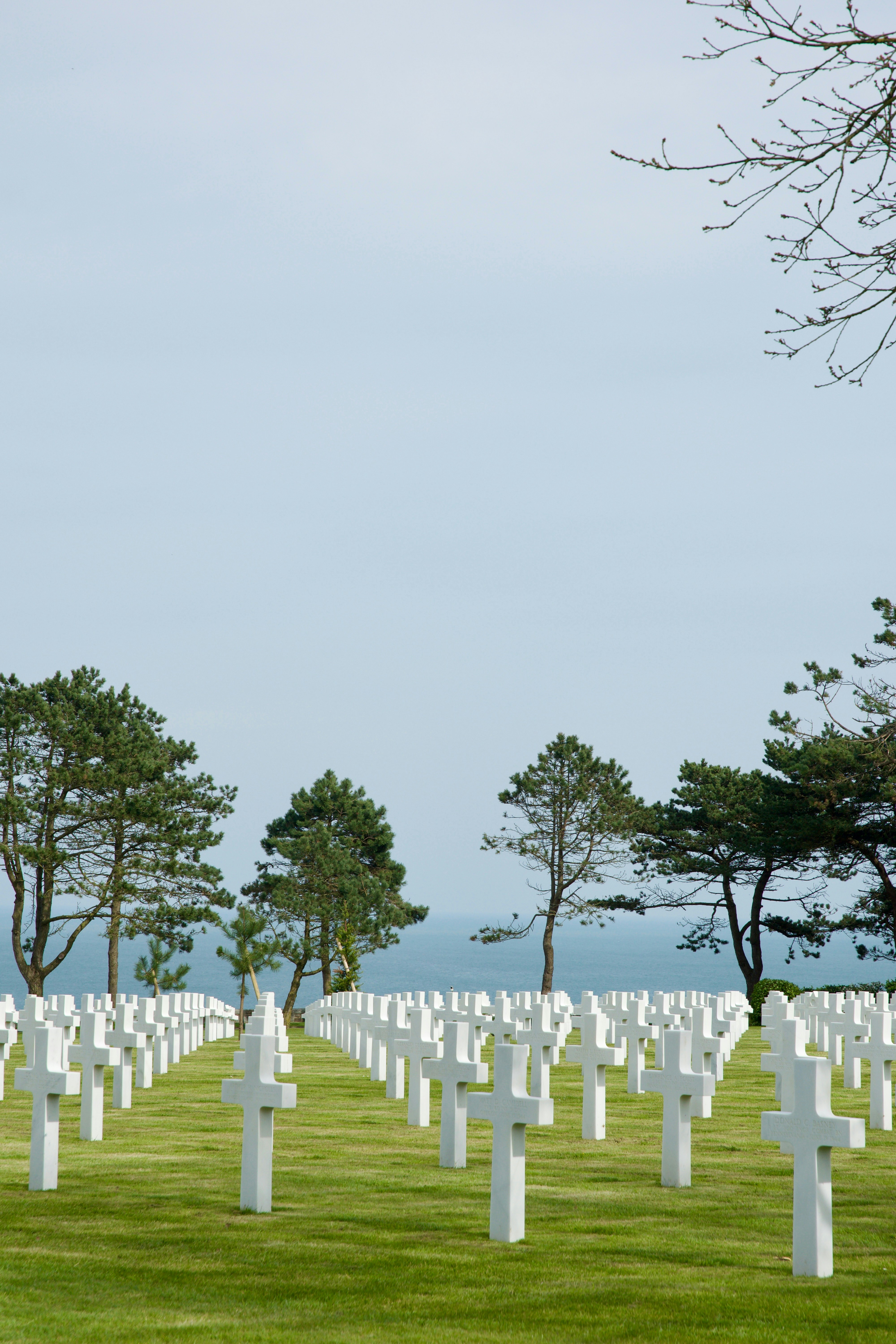 Lines of Honor: Rows of White Crosses Recede into a Seaside Cemetery