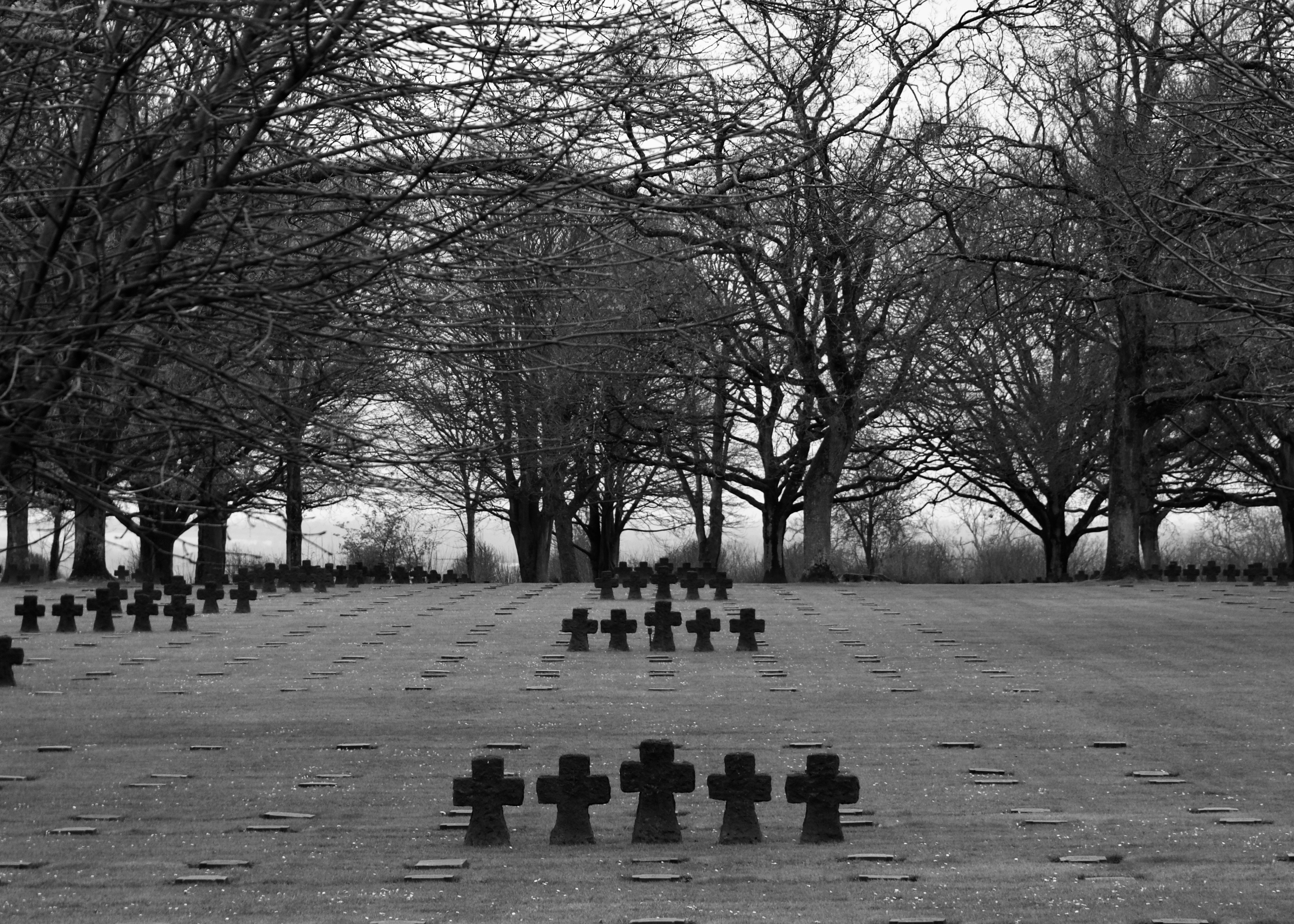 Rows of Crosses Recede into Winter Silence