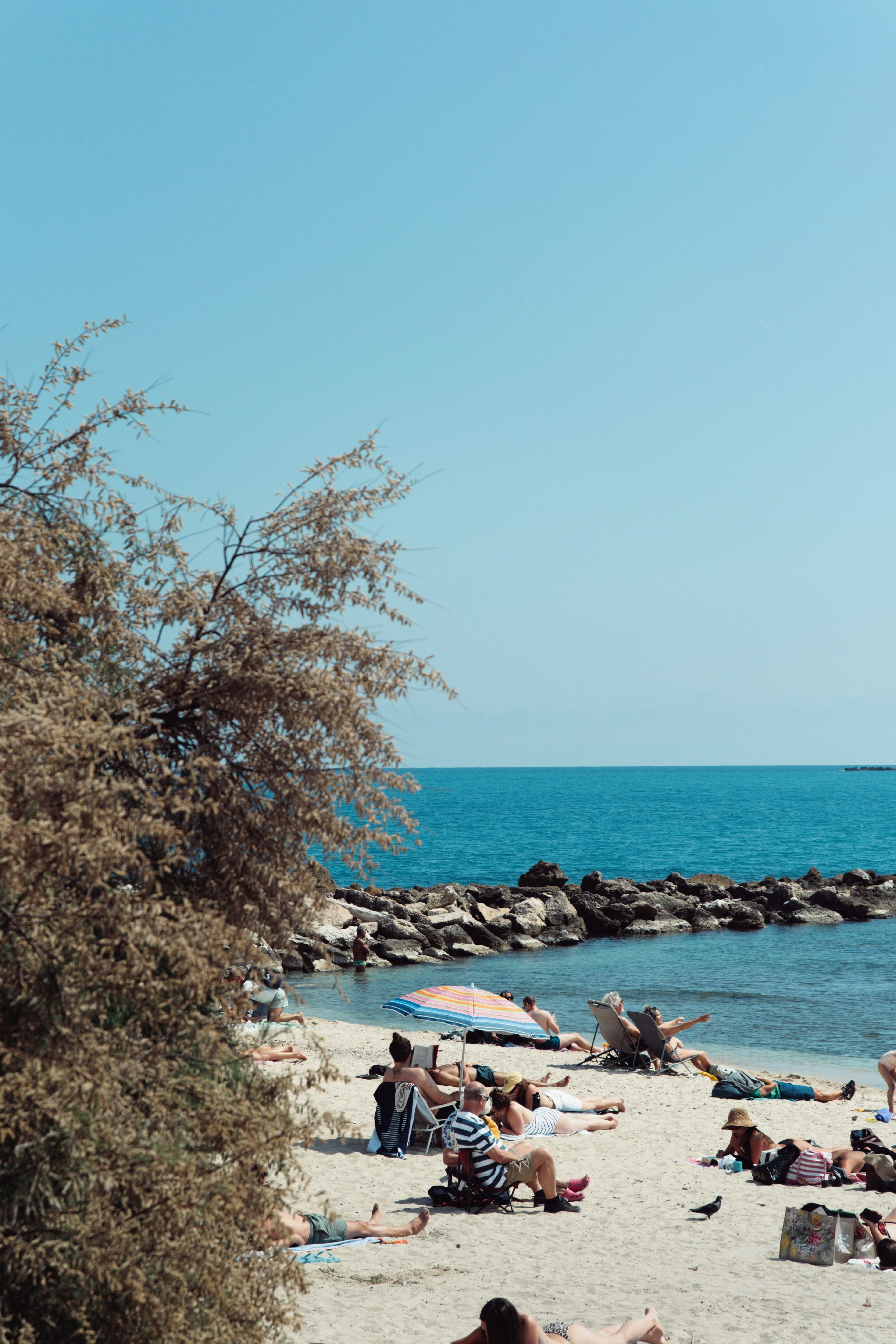 Sunlit Beach Portrait of People Relaxing by the Sea
