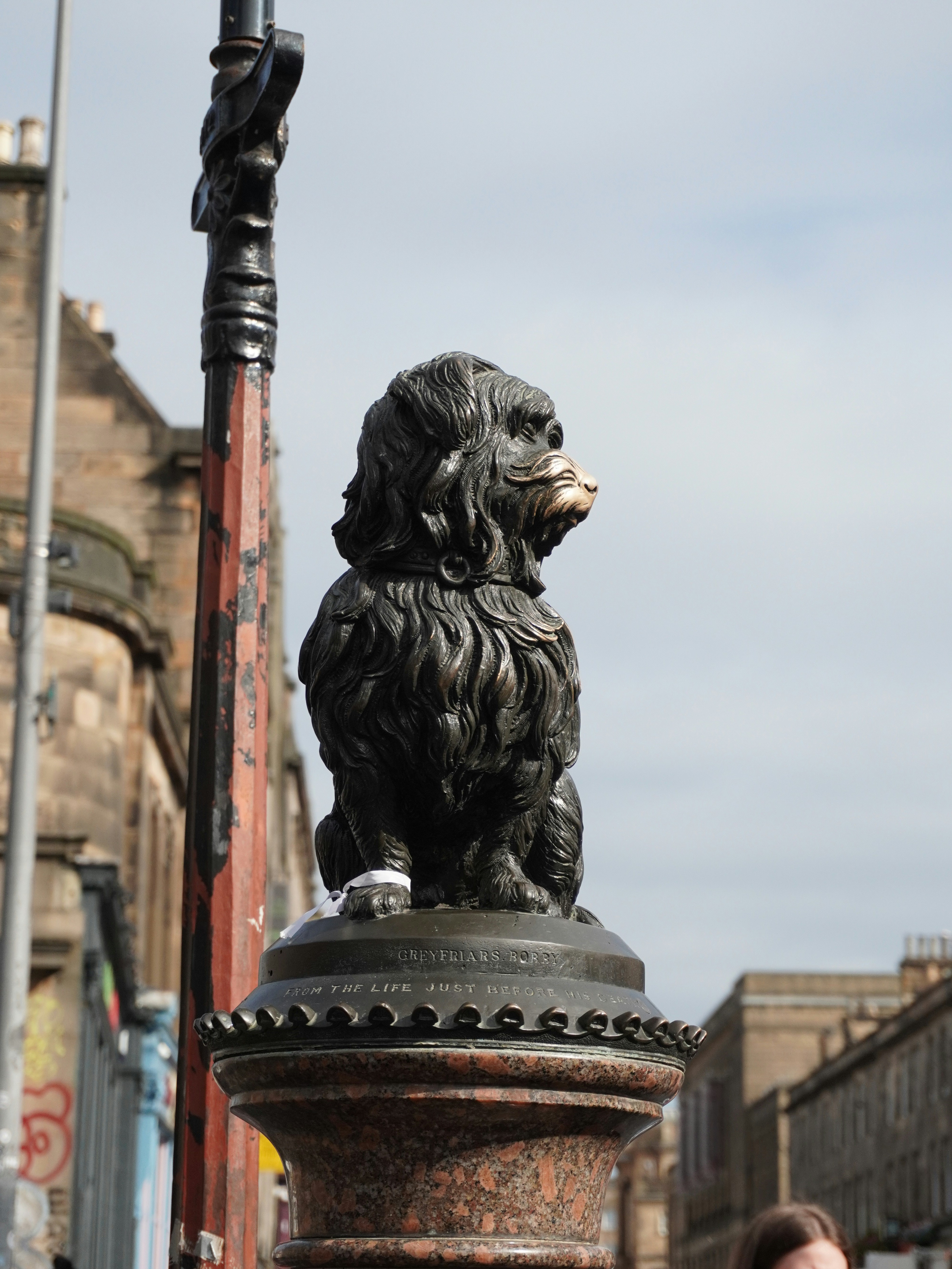 Loyal Observer: A Stone Terrier Guarding the Street