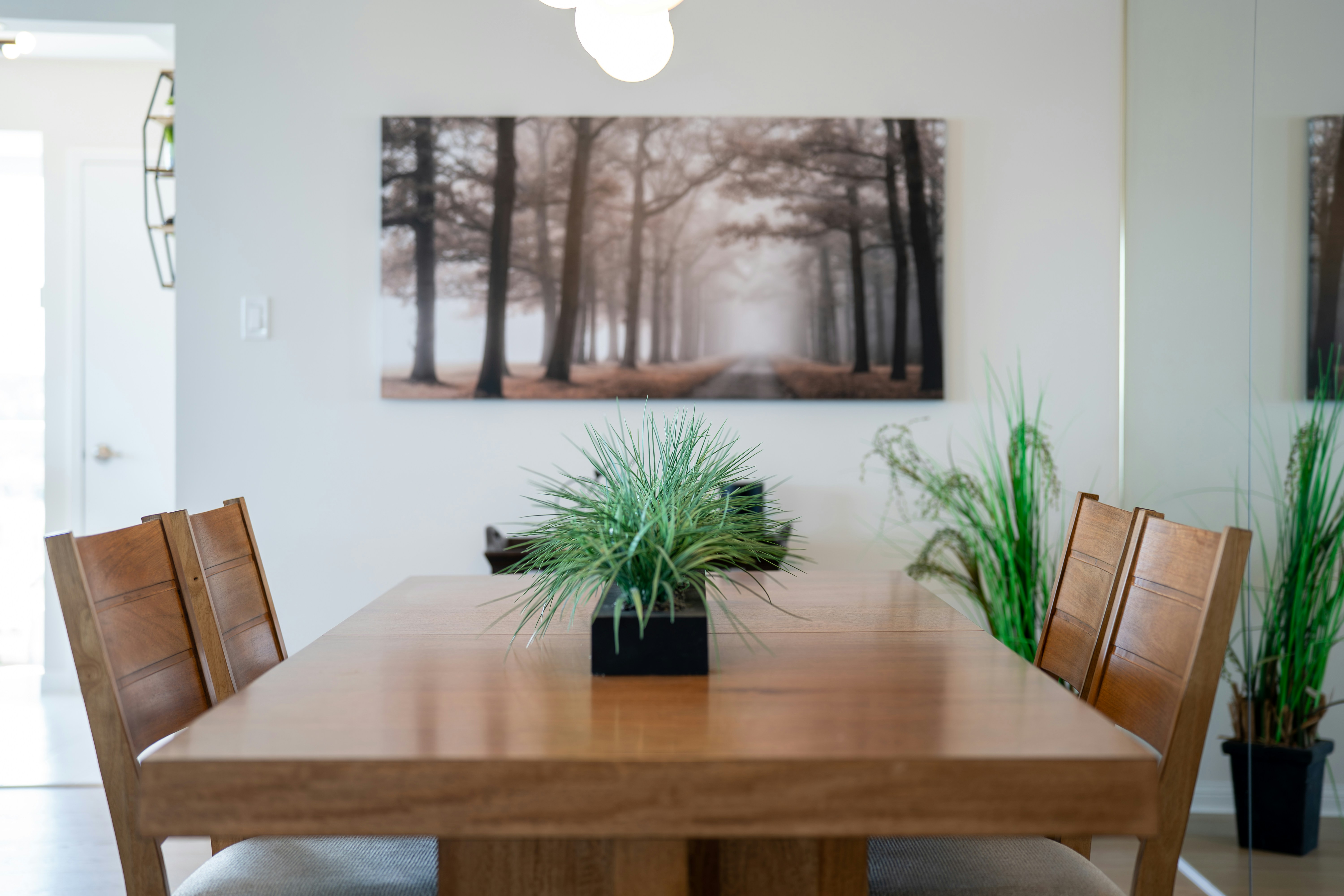 Sunlit dining room under a forest-toned canvas