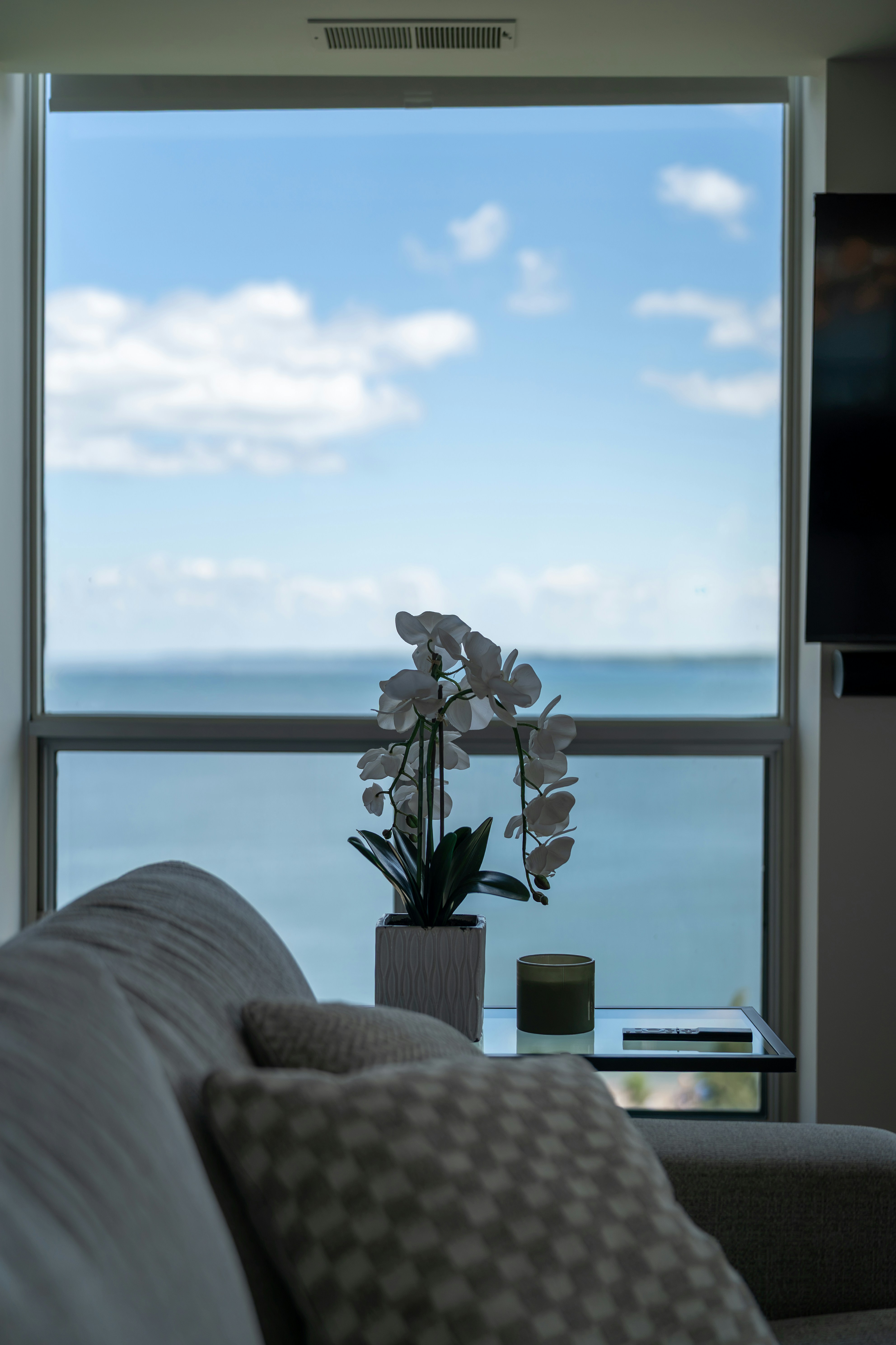 Orchid by the Atlantic Window