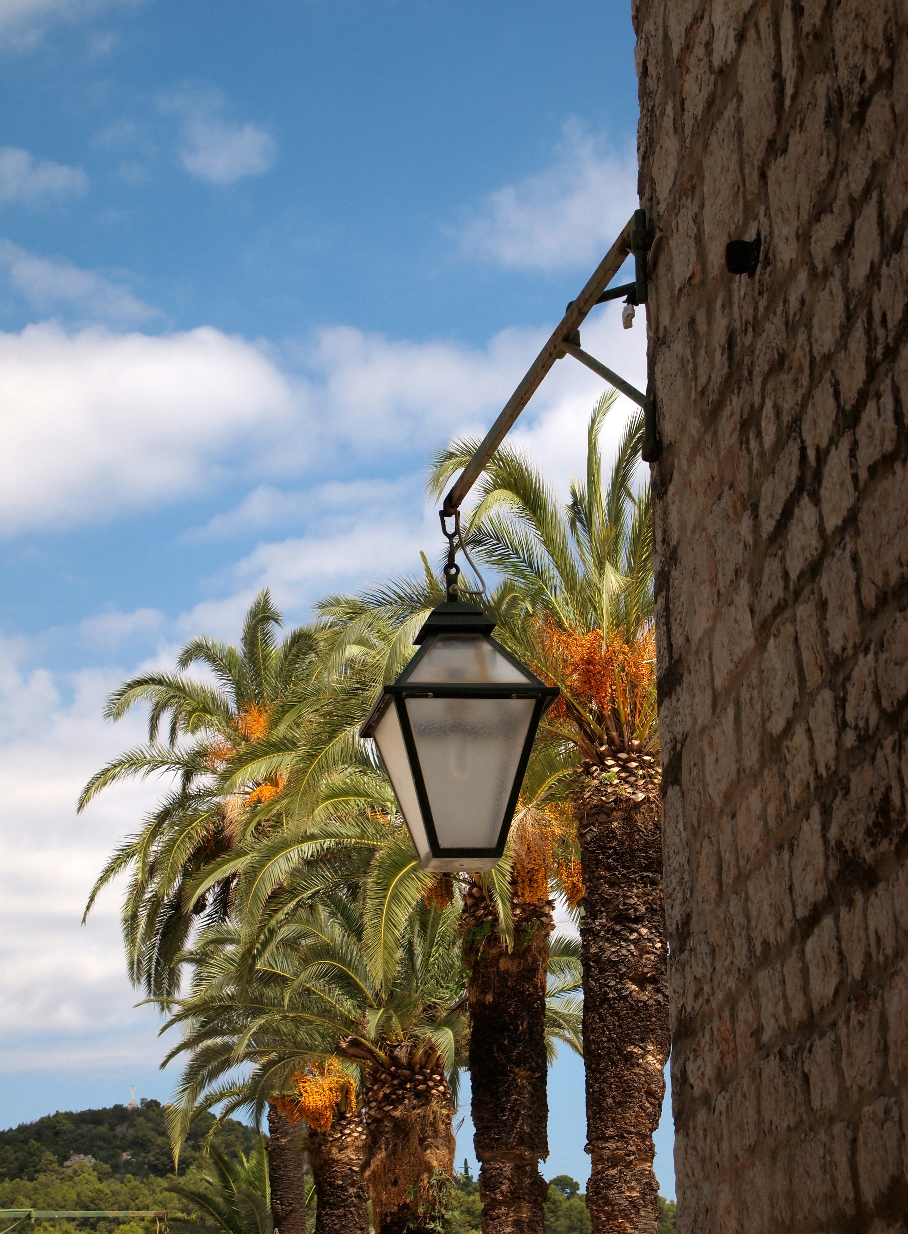 Aaloft Lantern: Palm-lined Courtyard by the Stone Wall