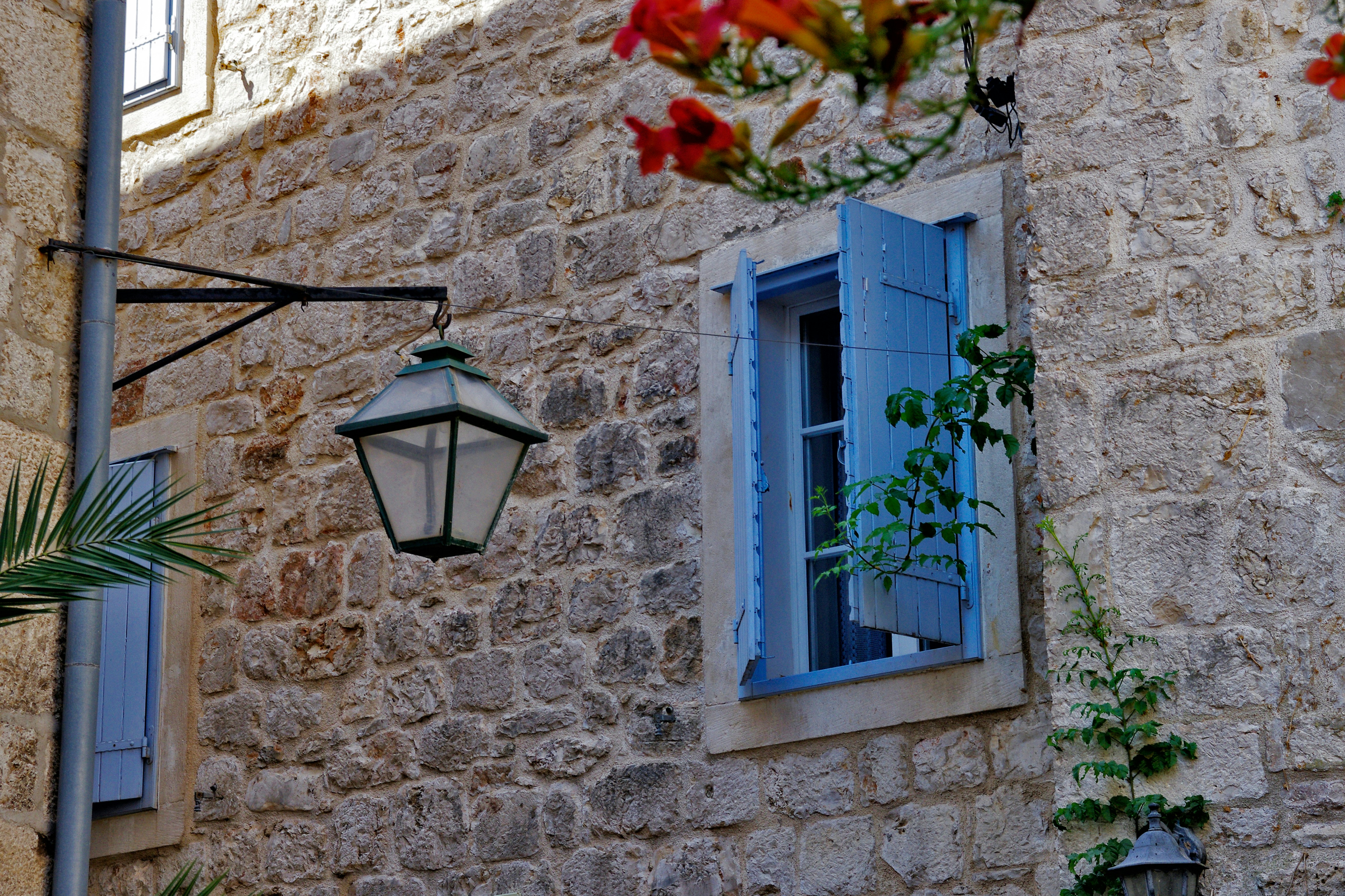 Blue Shutter Window on Sunlit Stone Wall with Wisteria