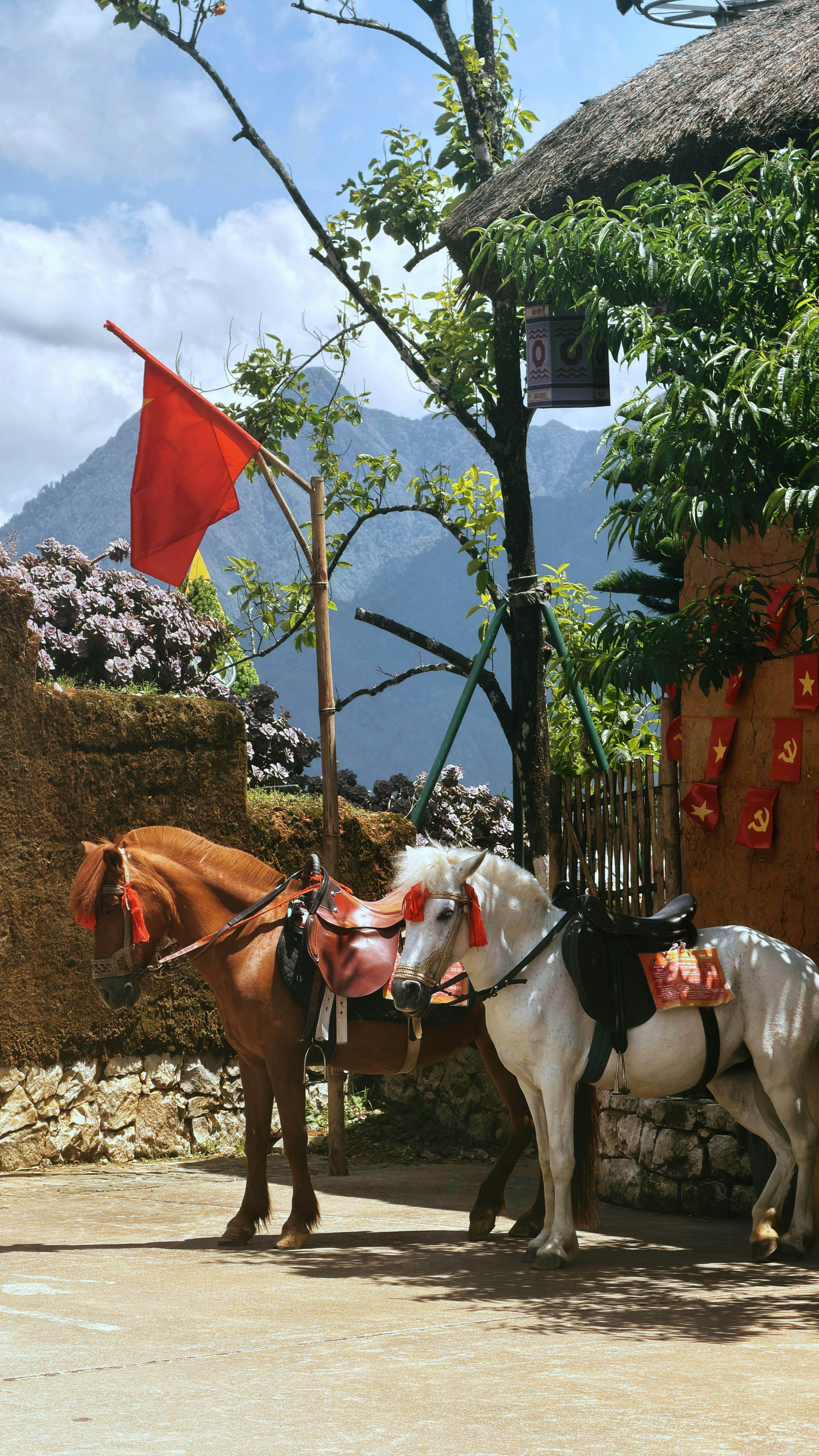 Two Saddled Companions Under a Mountain Village Banner